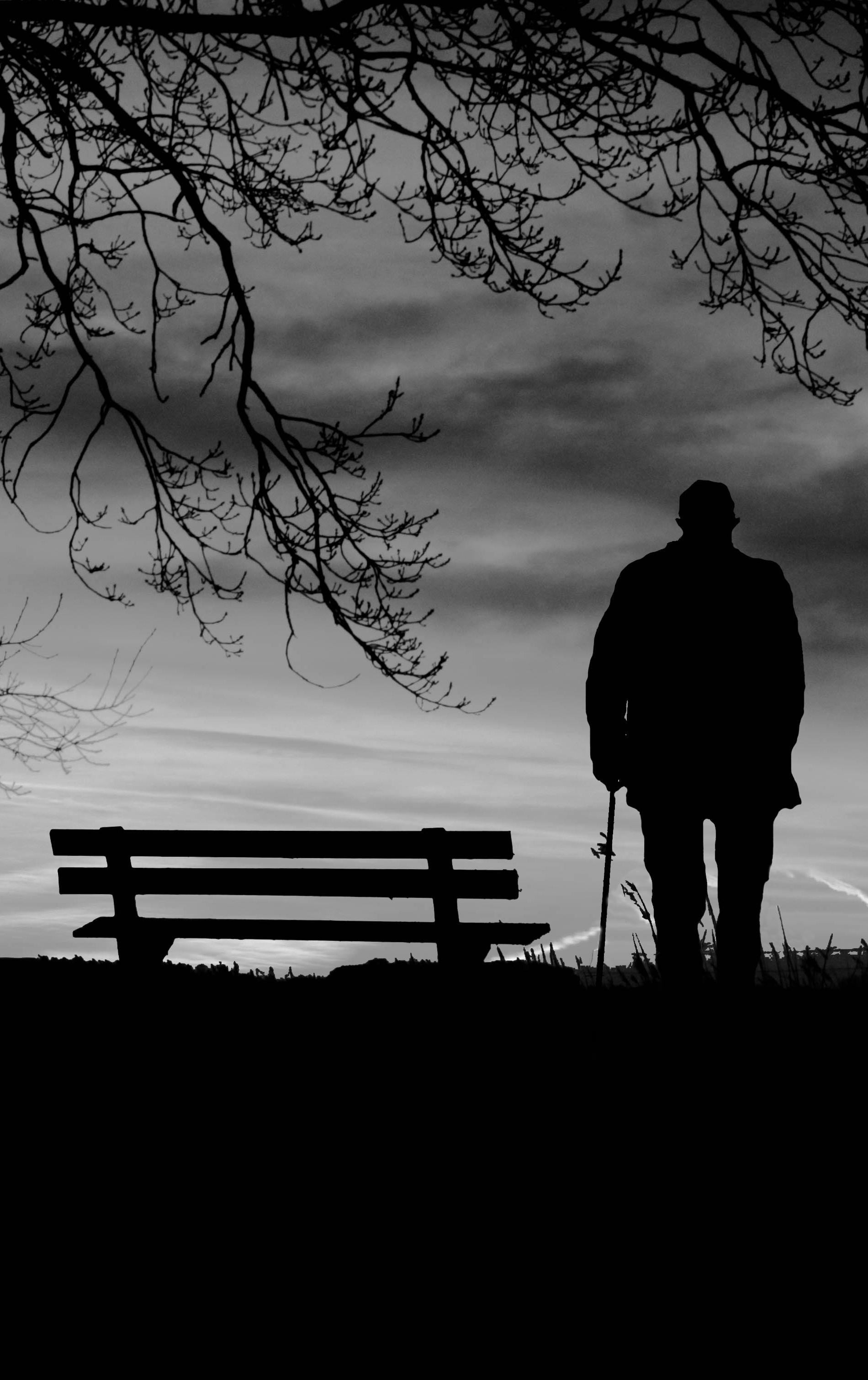 A Man Standing by a Bench · Free Stock Photo