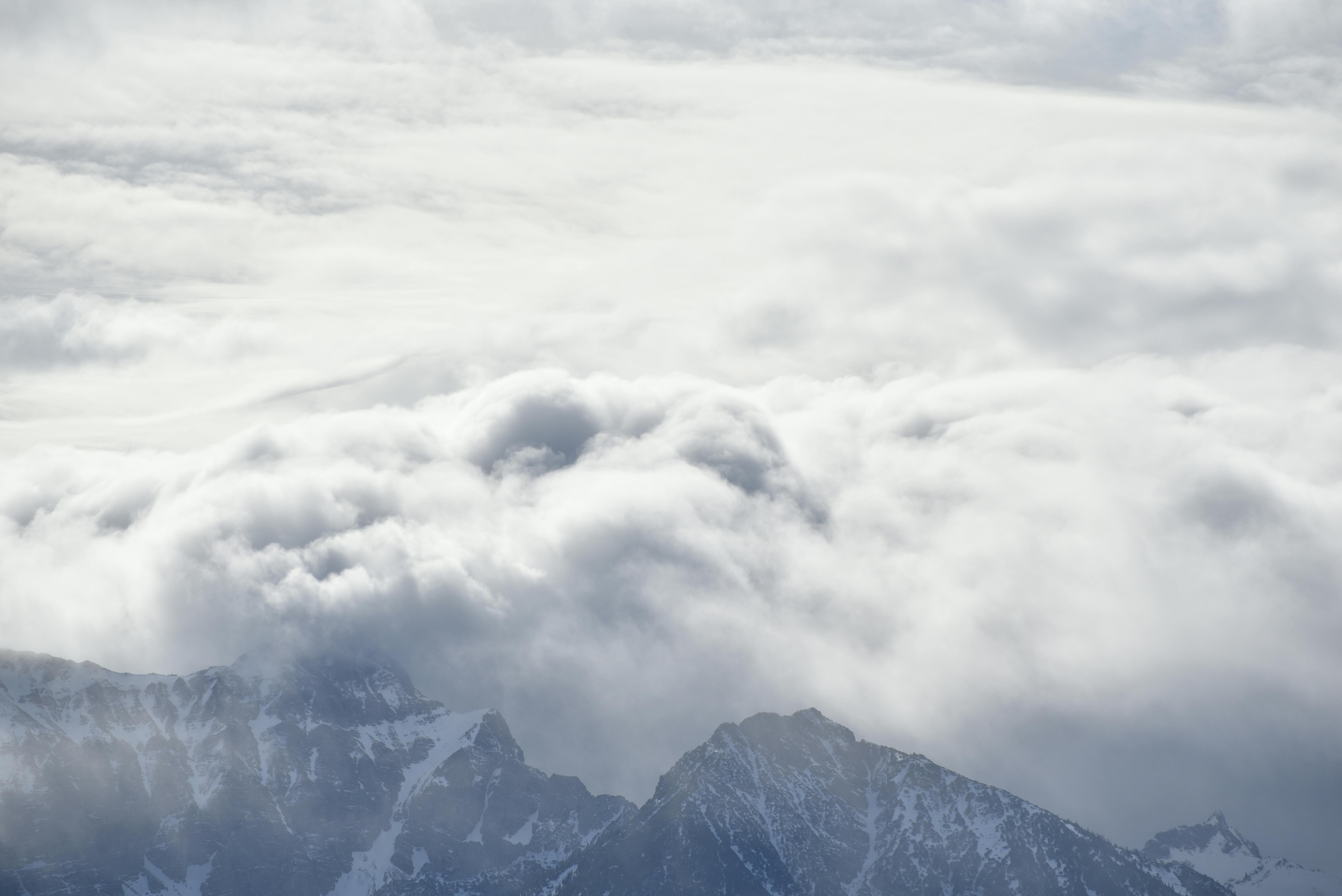 Peter Frese - Fotografía