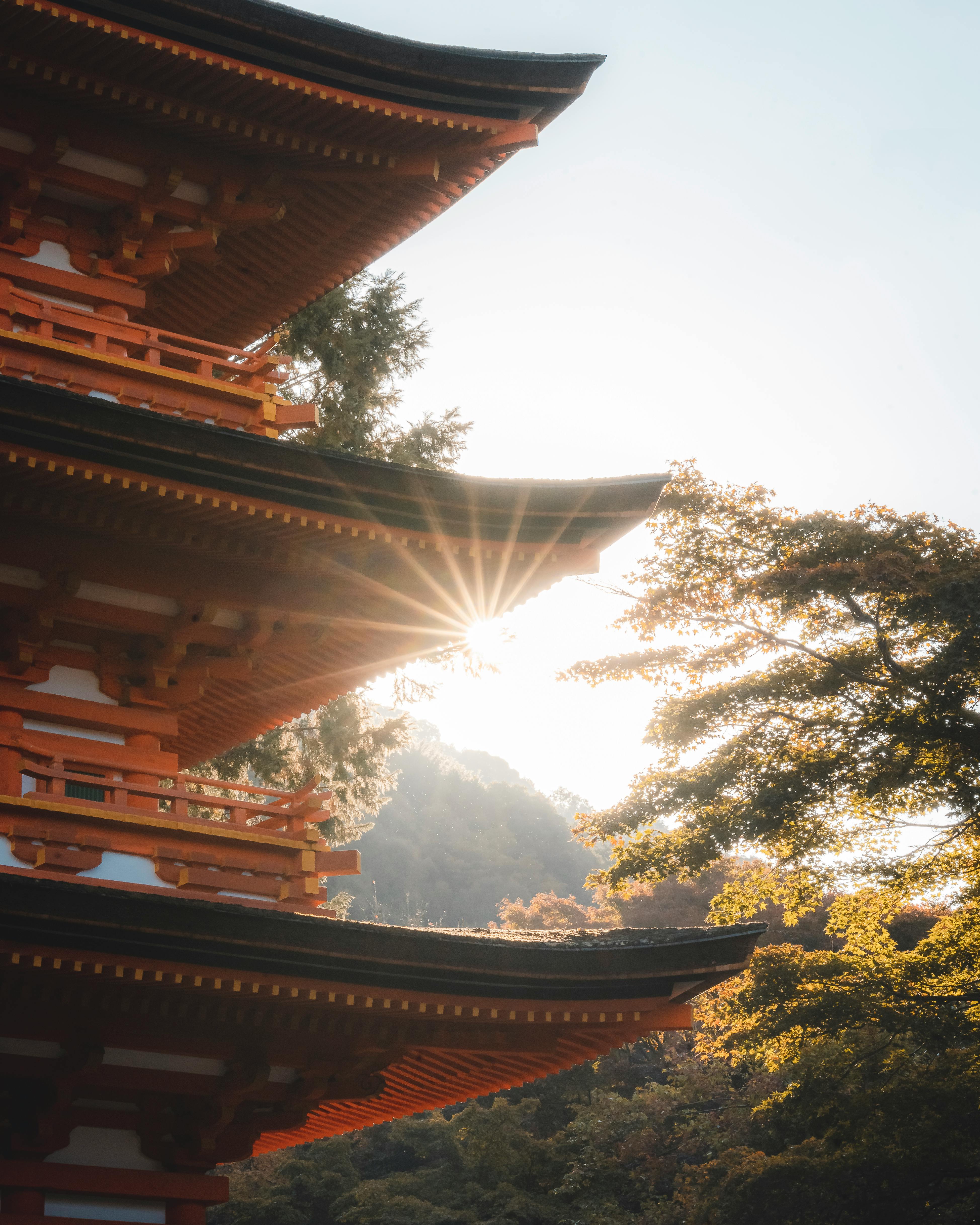 Sunlight over Temple Building · Free Stock Photo
