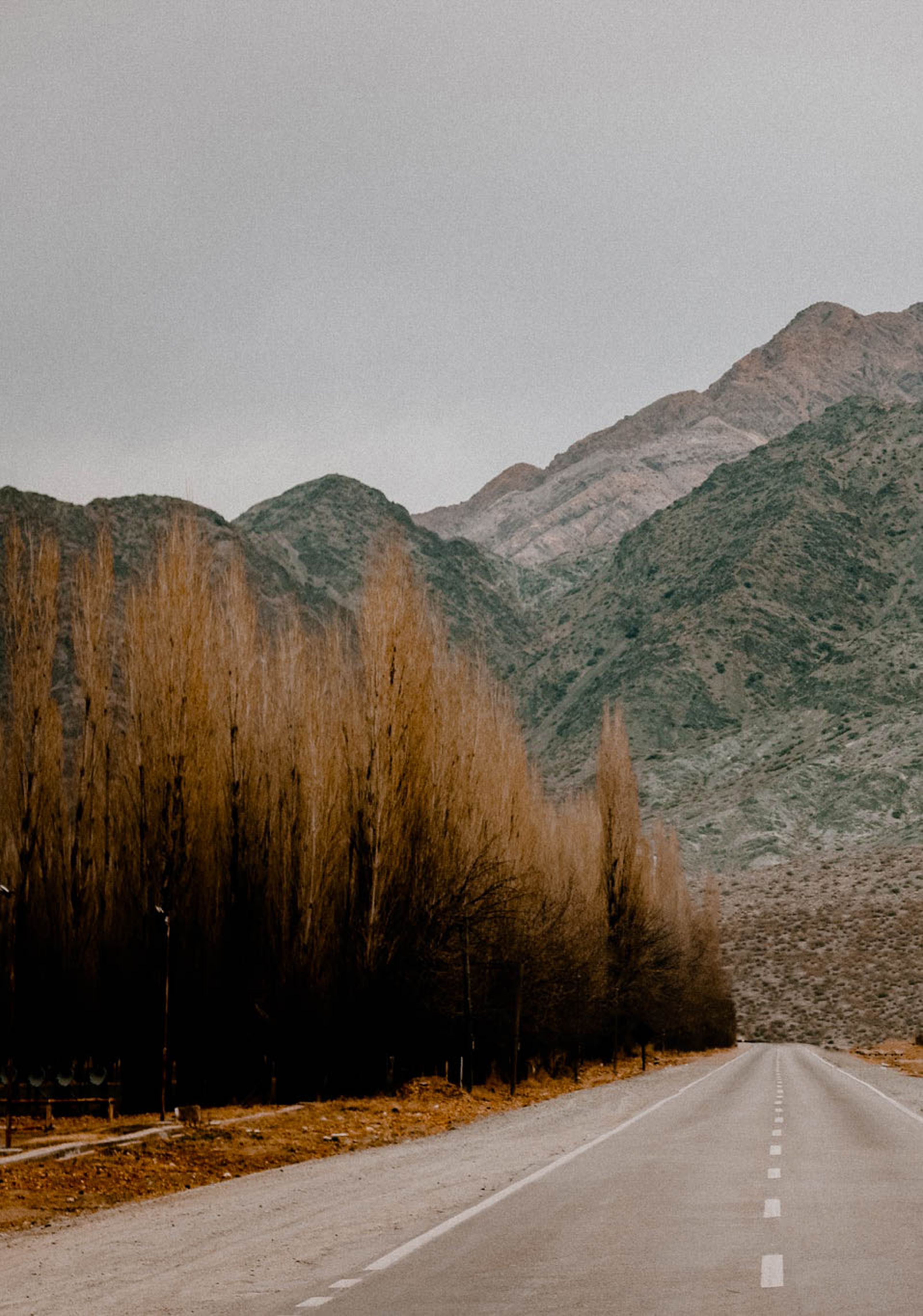 Road Landscape Photos, Download The BEST Free Road Landscape Stock ...