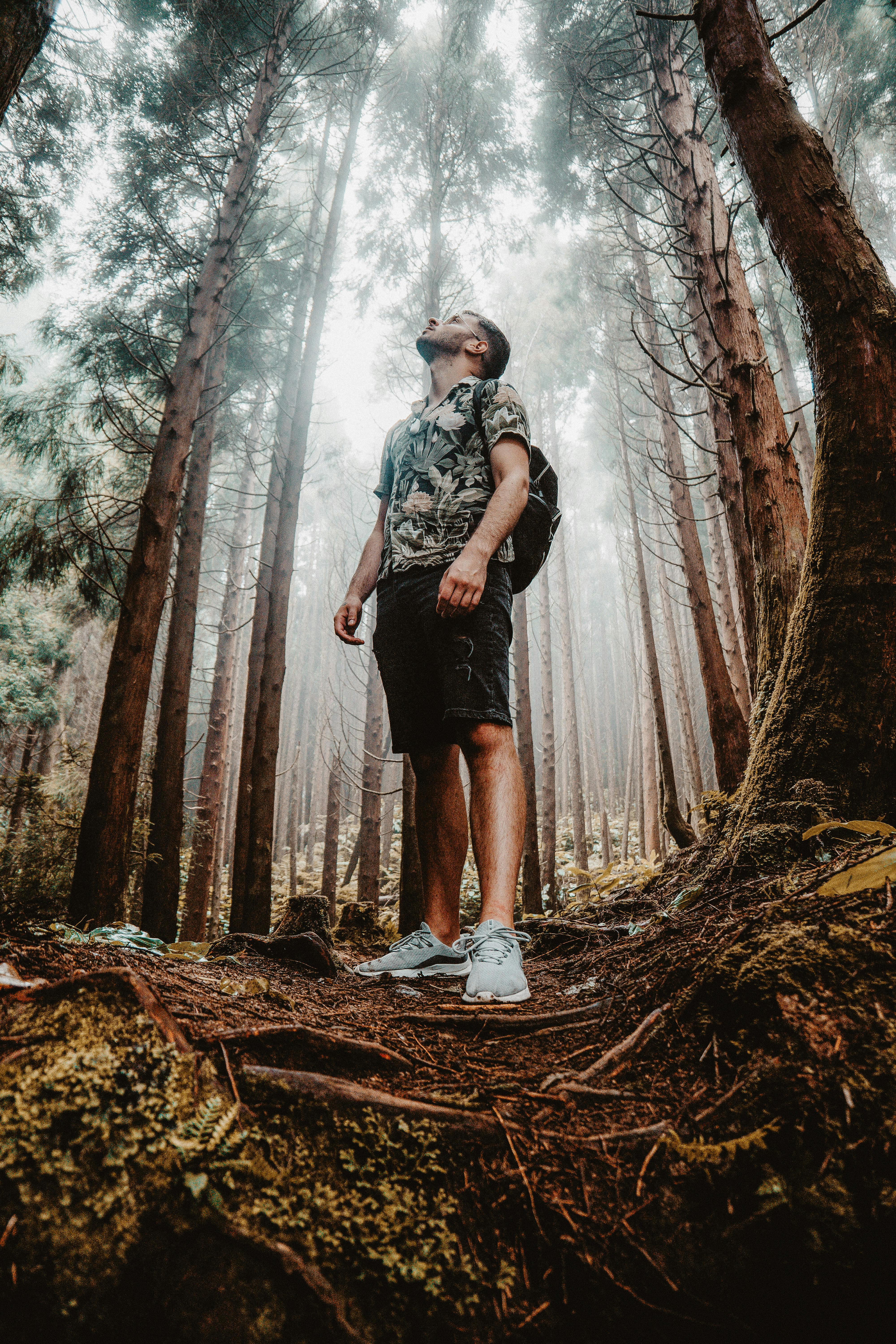 Man Standing in Forest Observing Trees · Free Stock Photo