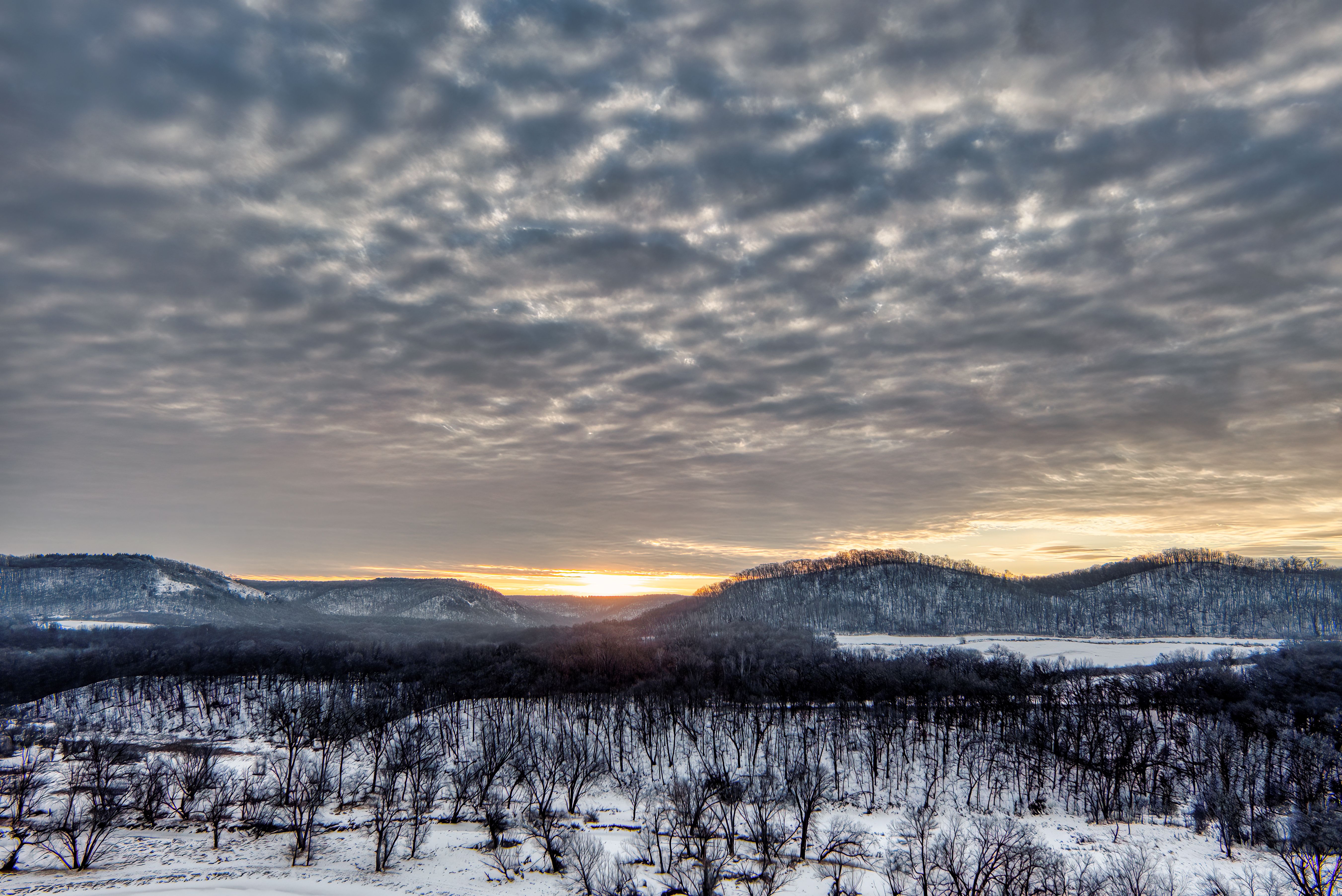 Winter Landscape at Dawn · Free Stock Photo