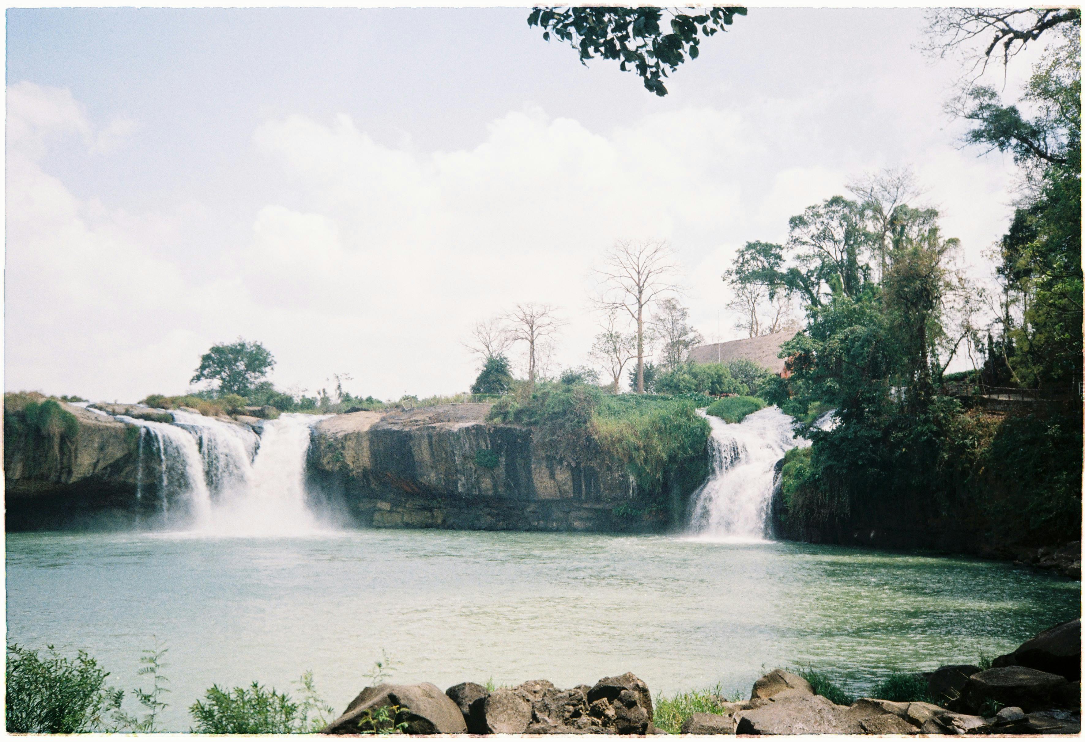 Musammi Sap Photos, Download The BEST Free Musammi Sap Stock Photos ...