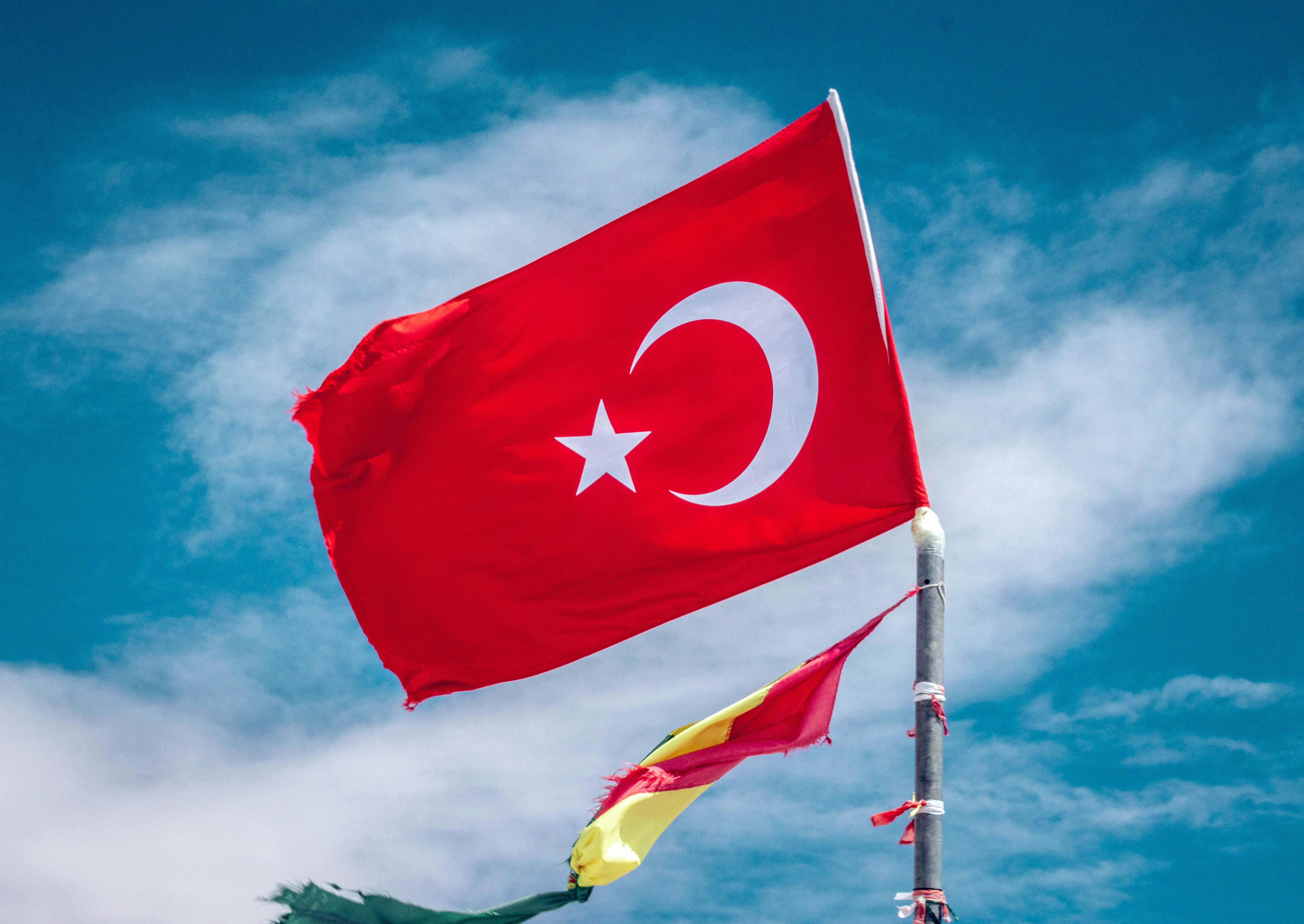 Flag of Turkey · Free Stock Photo