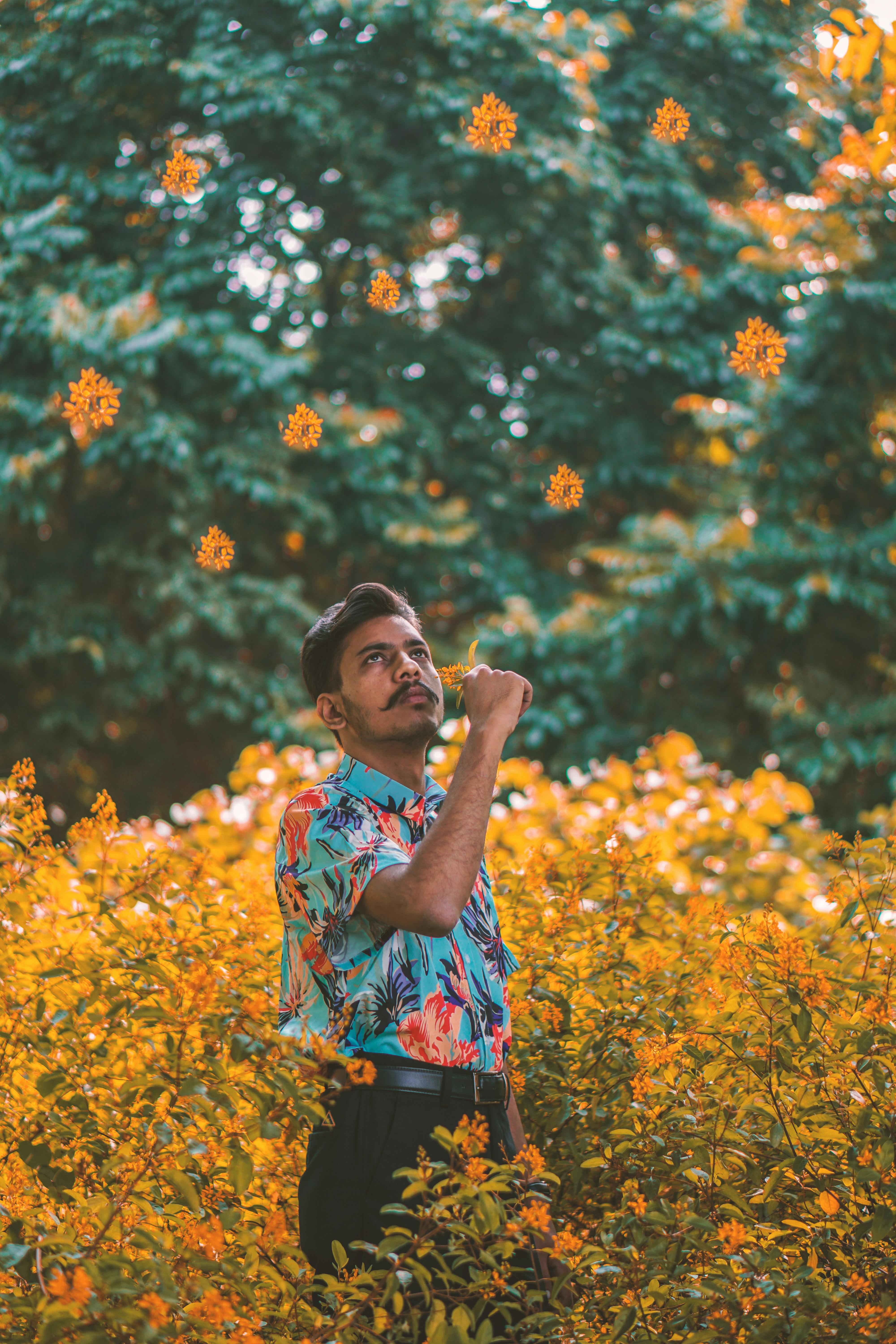 Tela Floral Photos, Download The BEST Free Tela Floral Stock Photos ...