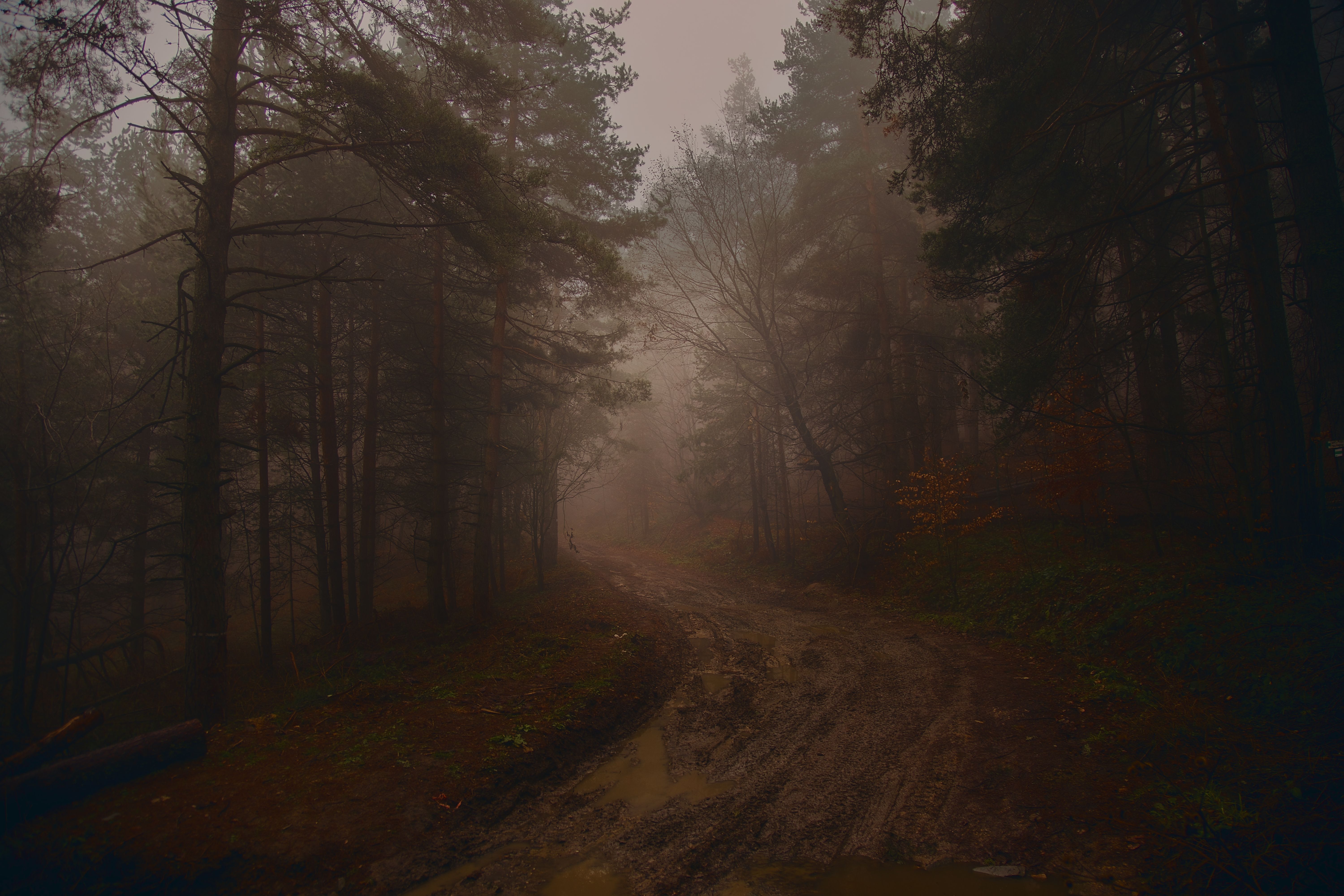 Potholes with Water on Dirt Road · Free Stock Photo