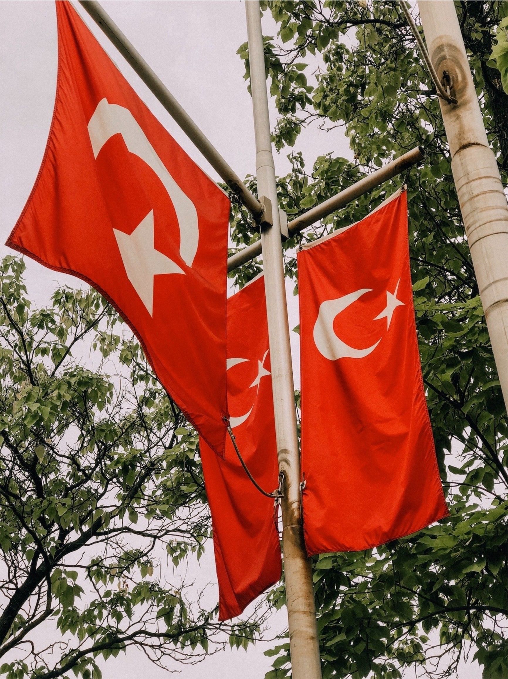 Turkish flags flying in the wind · Free Stock Photo