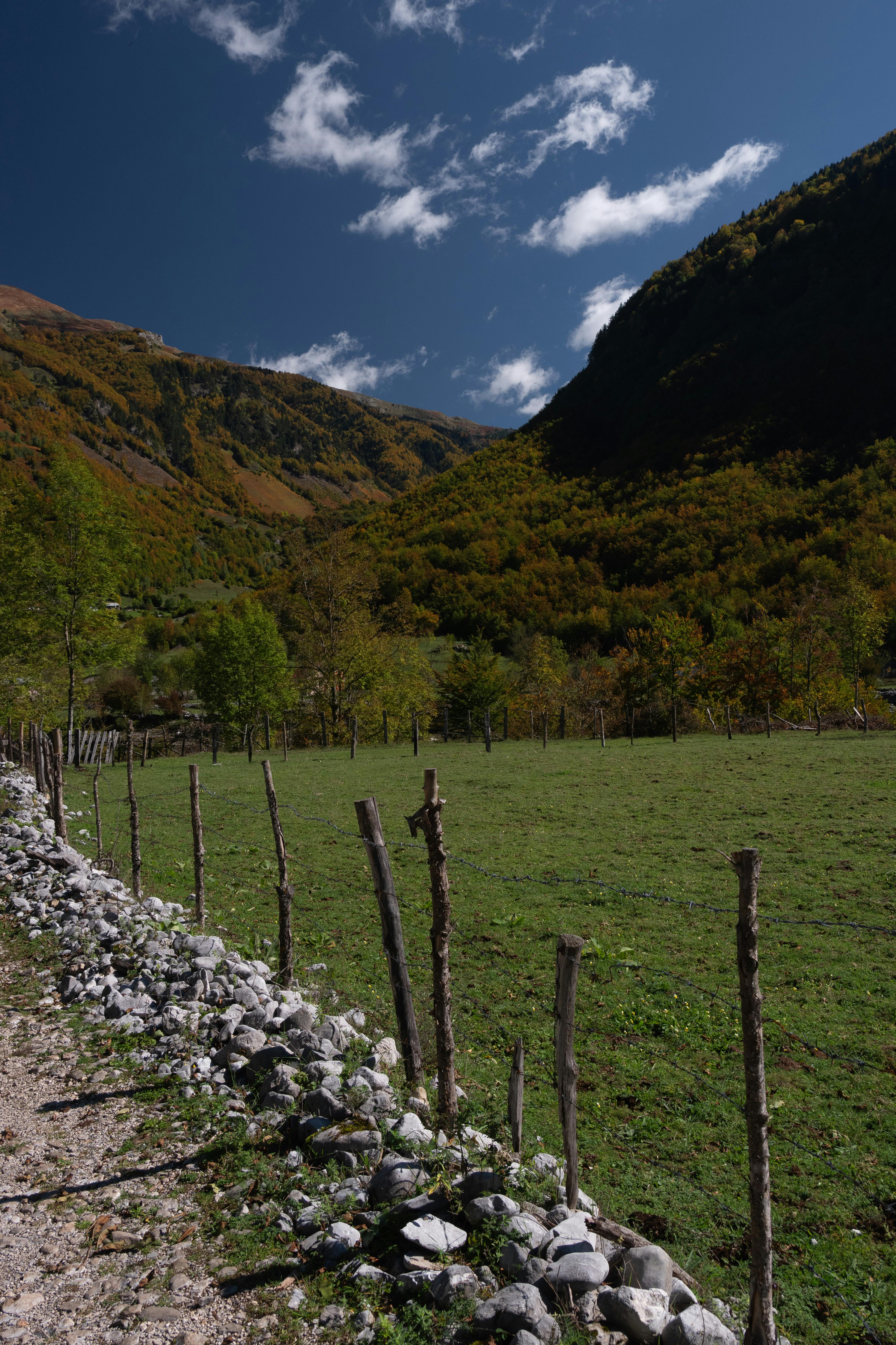 Fence over Pasture · Free Stock Photo