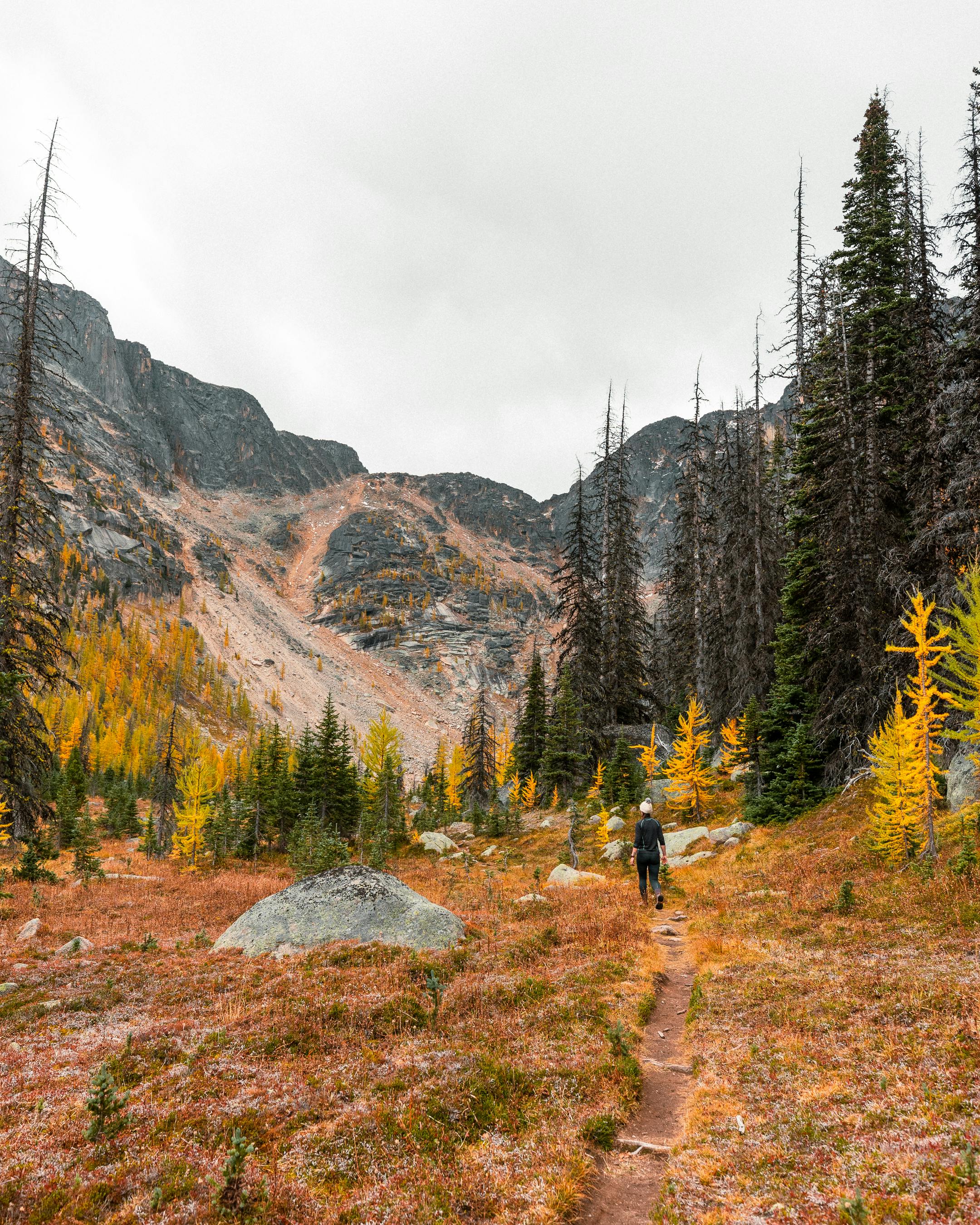 Hiker on Trail in Mountains in Autumn · Free Stock Photo