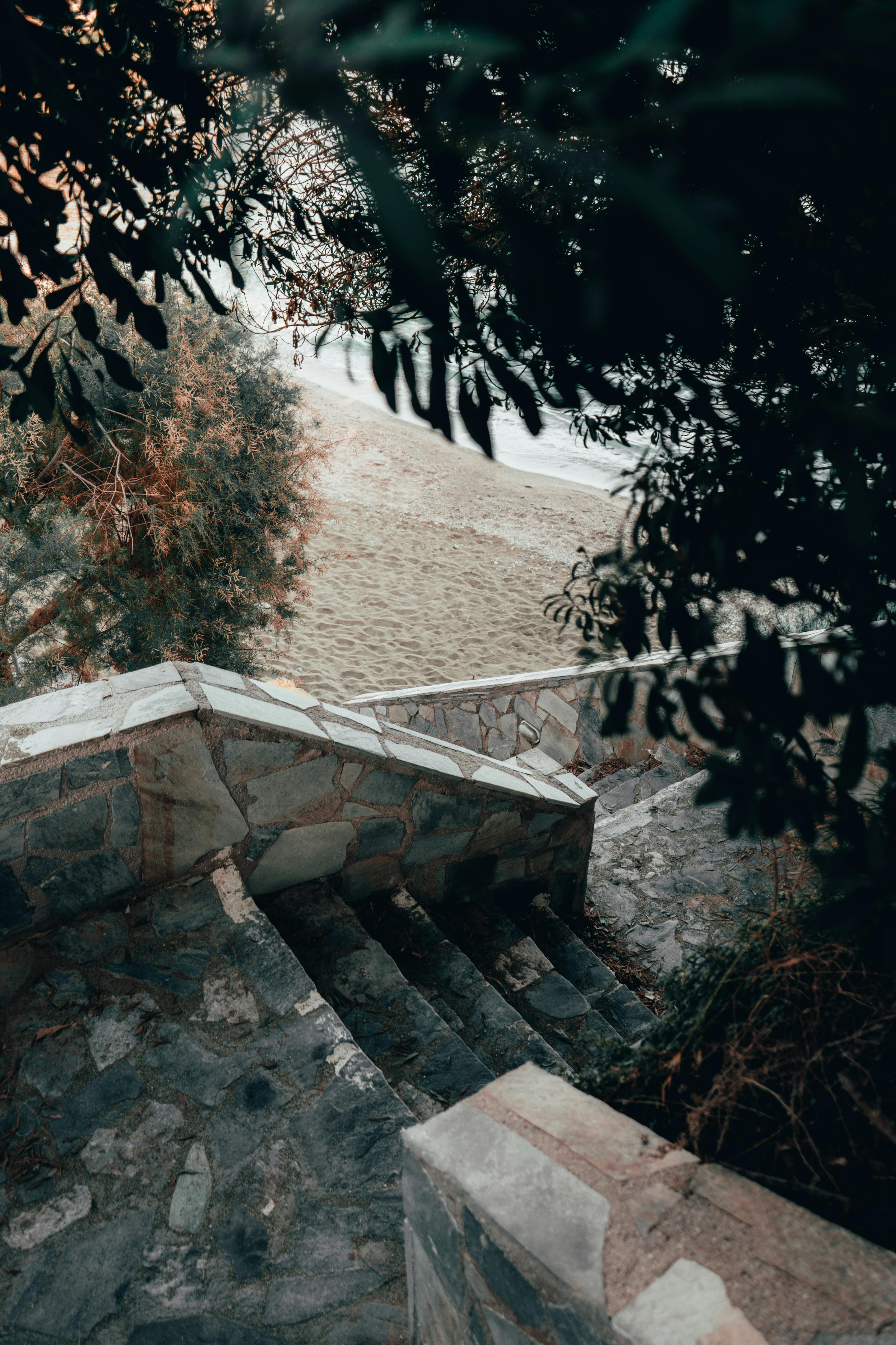 Edit