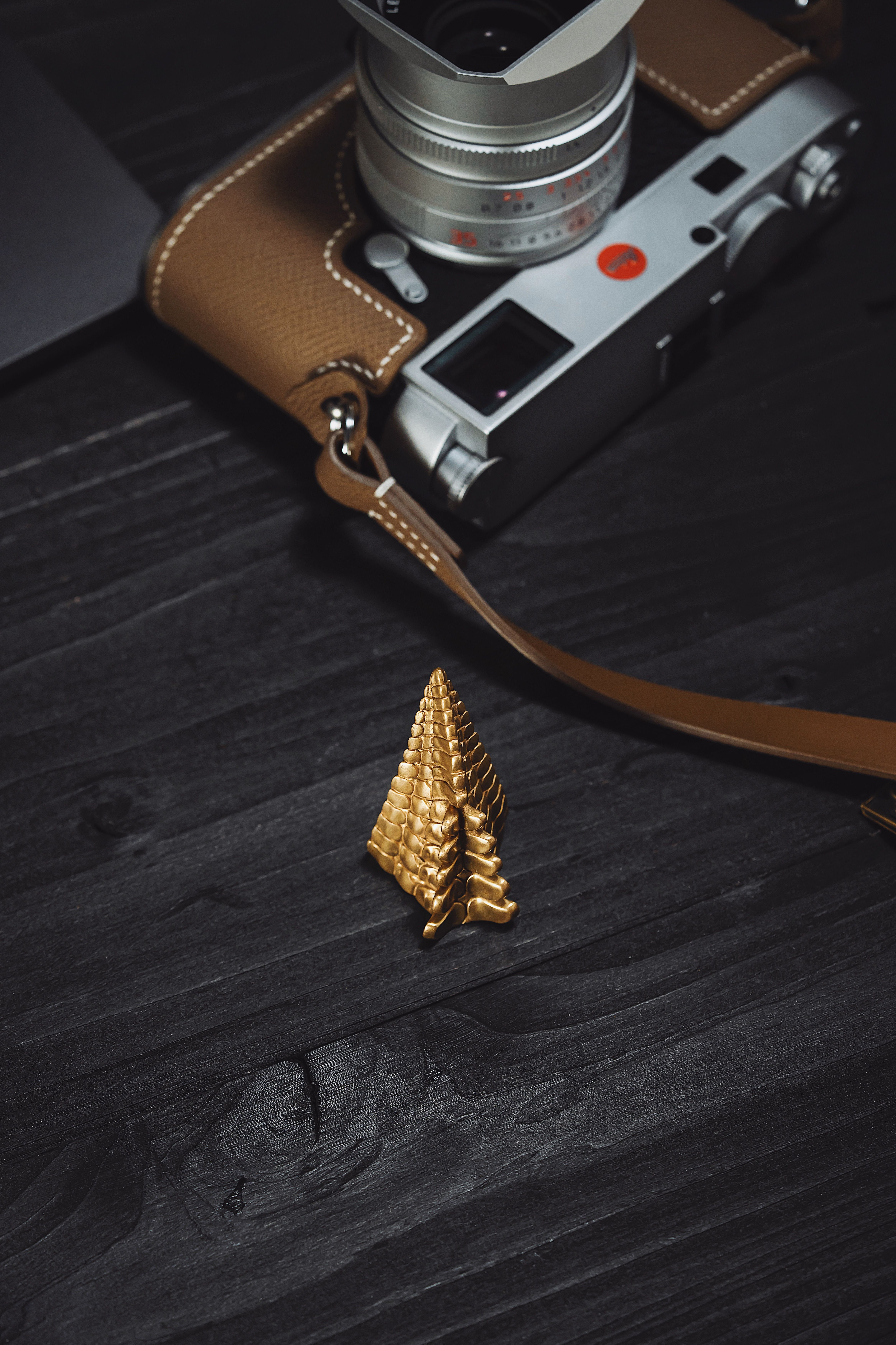 Golden Dragon Tail near Camera · Free Stock Photo