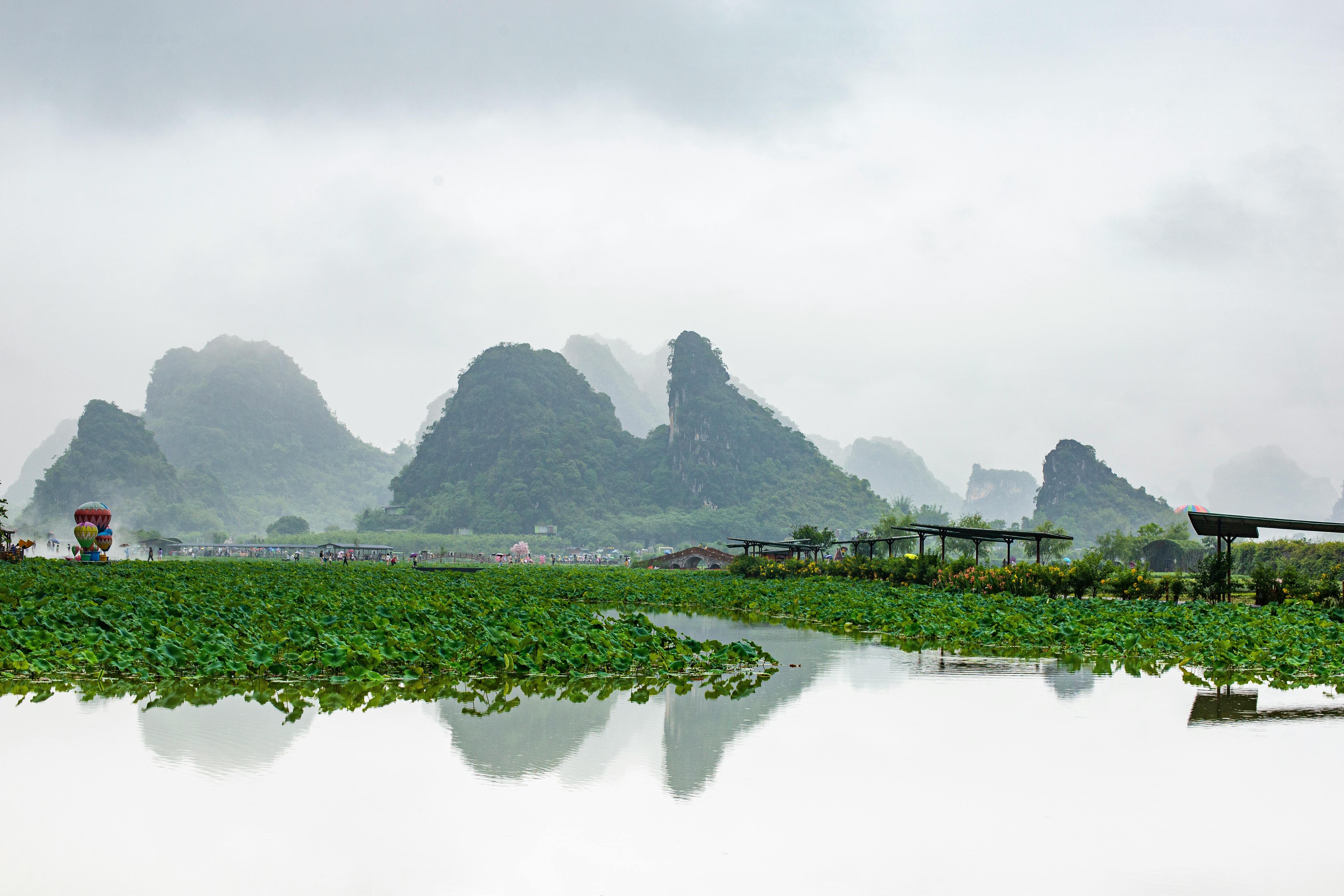 Lake and Field on Swamp · Free Stock Photo