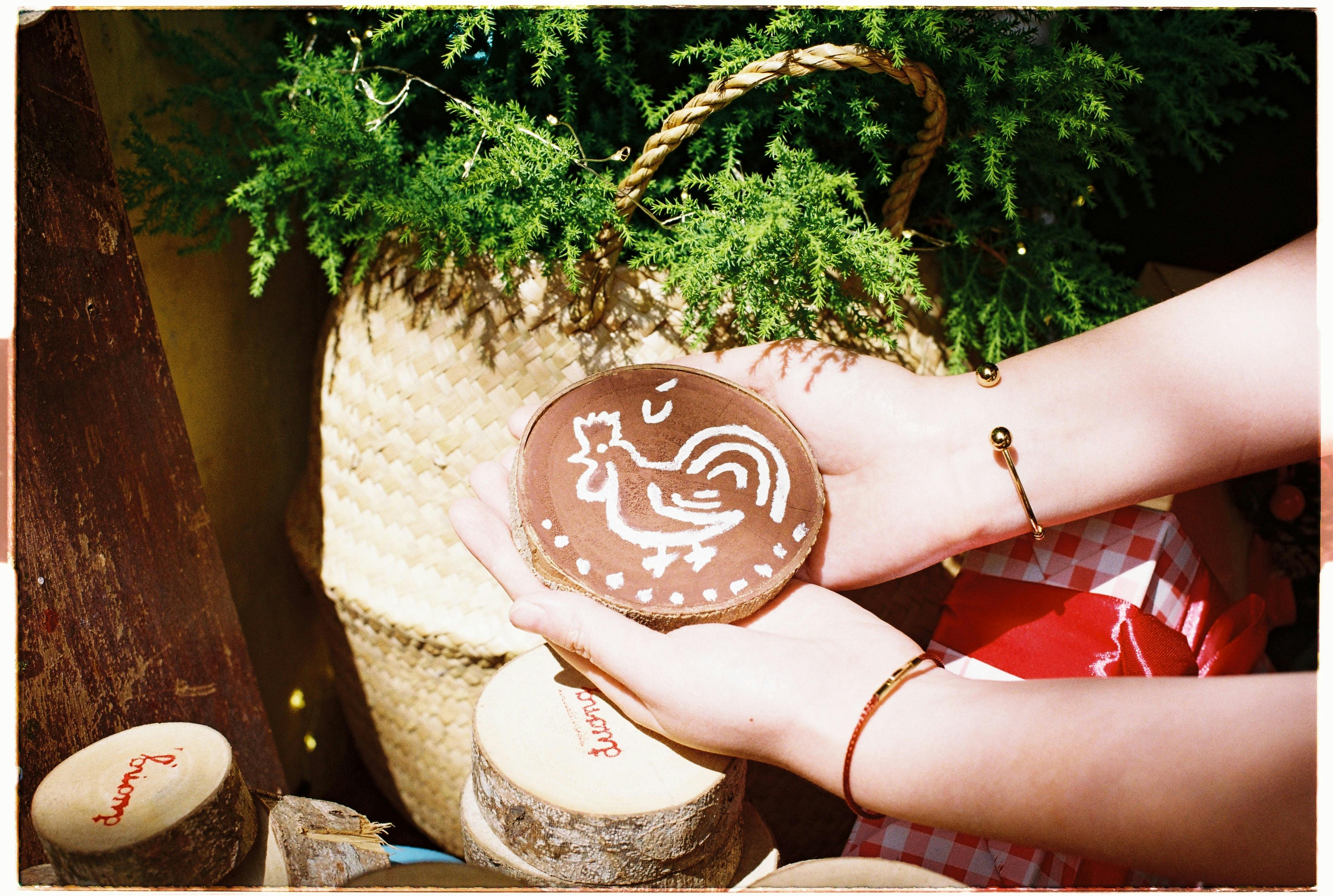 A Display of Hand Fans in Assorted Colors and Design · Free Stock Photo