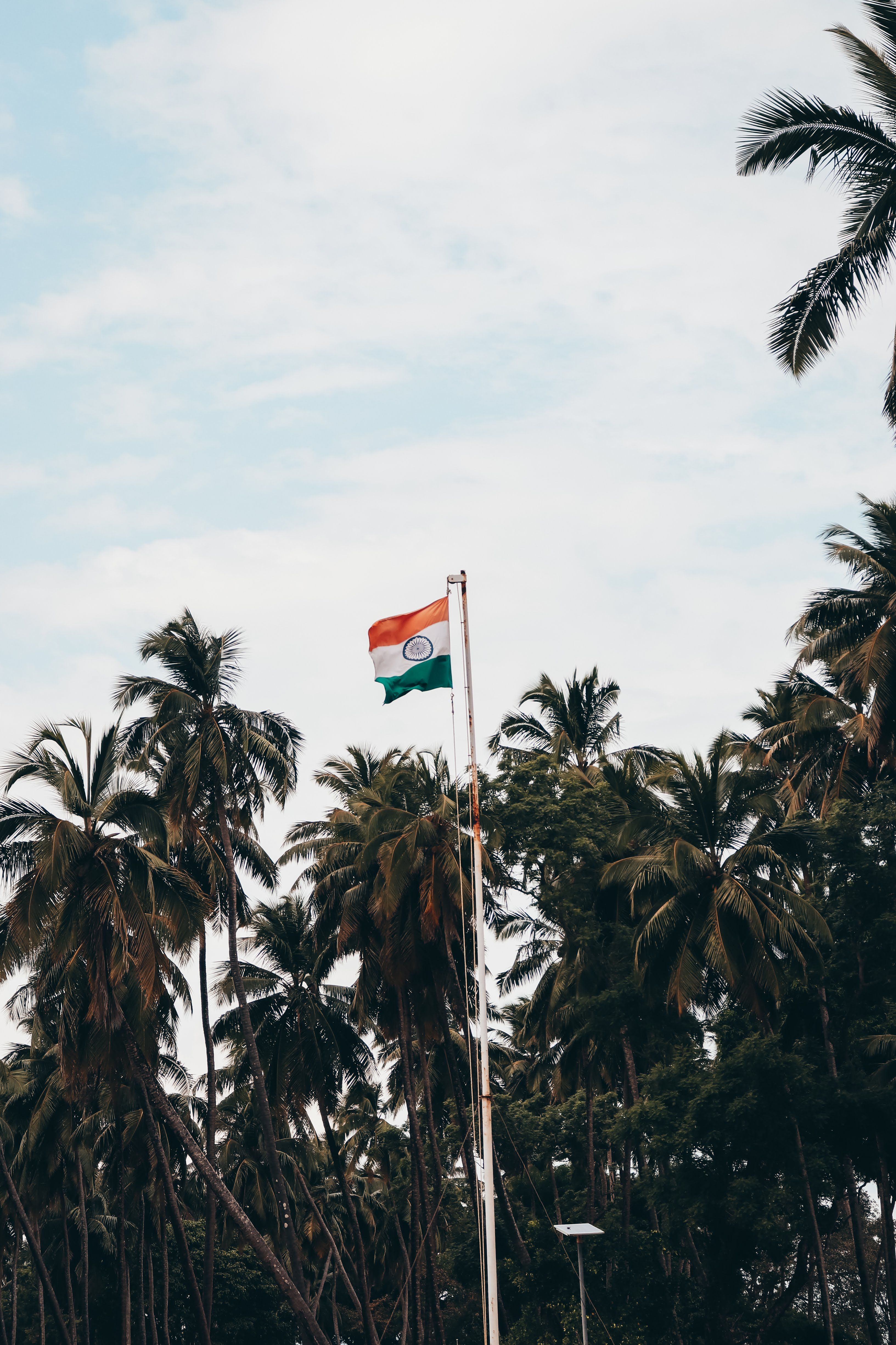 Indian Flag in a Park · Free Stock Photo