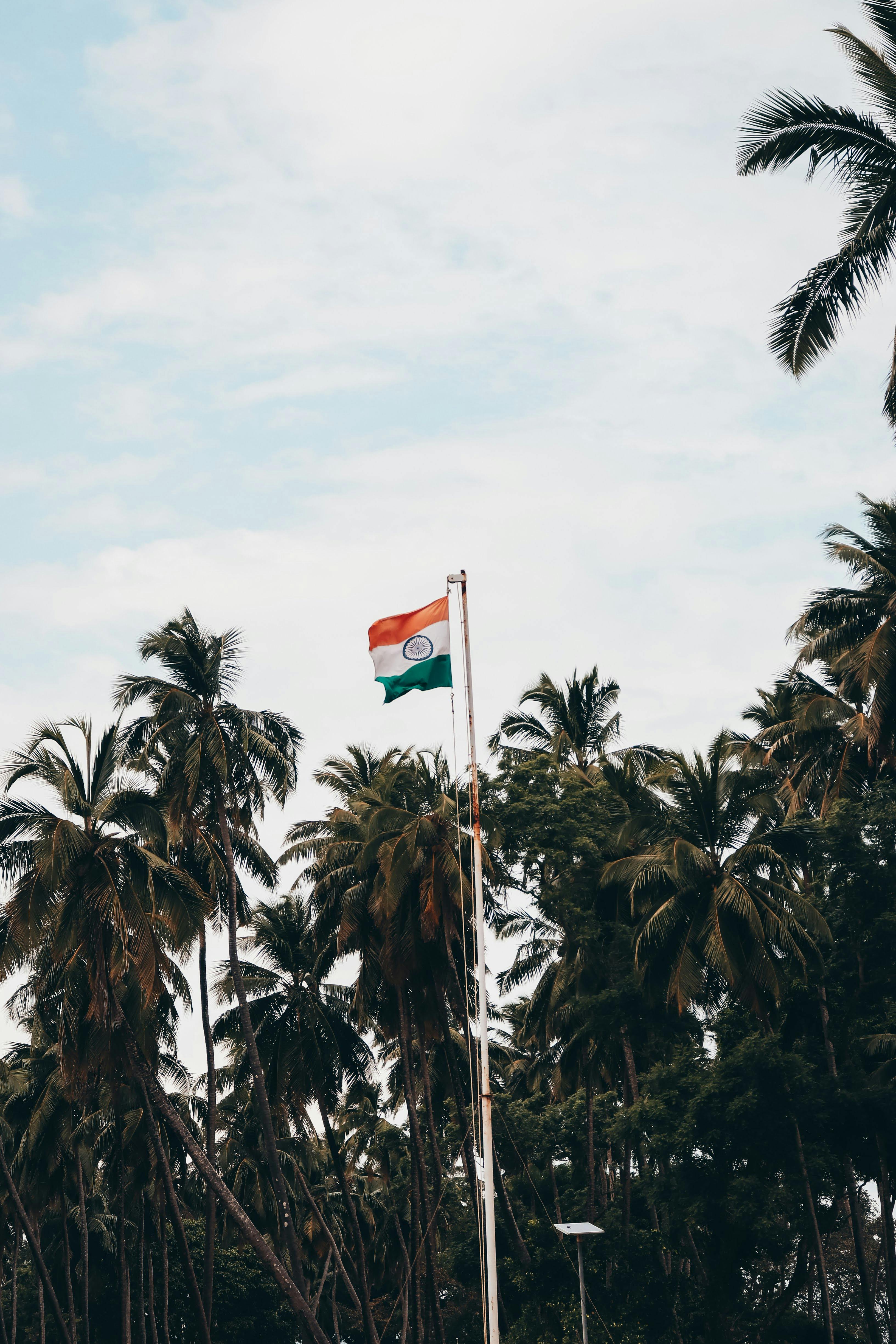 An Indian Flag on a Flagpole between Palm Trees · Free Stock Photo