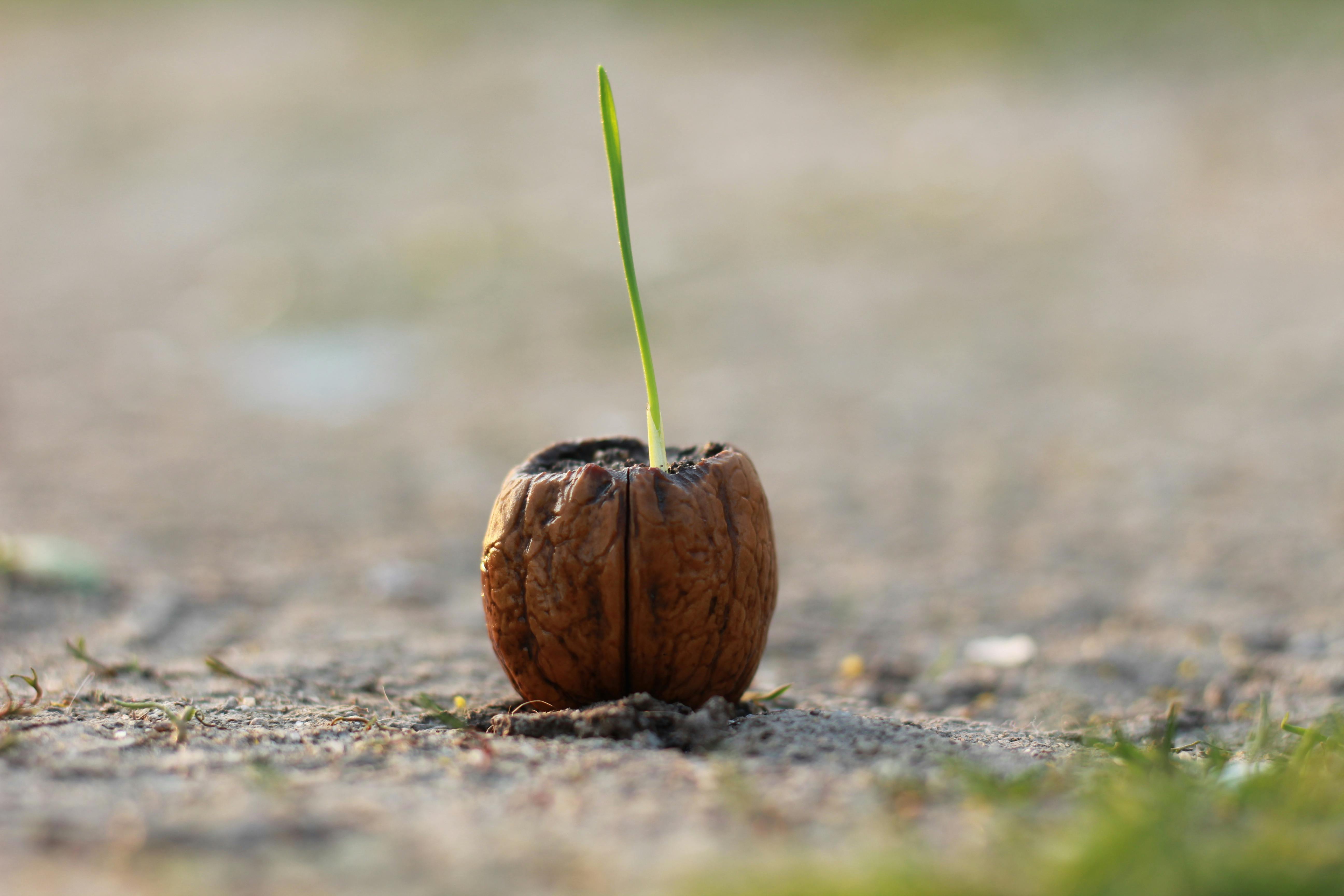 Alexandru-Cătălin Stoica - Fotoğrafçılık