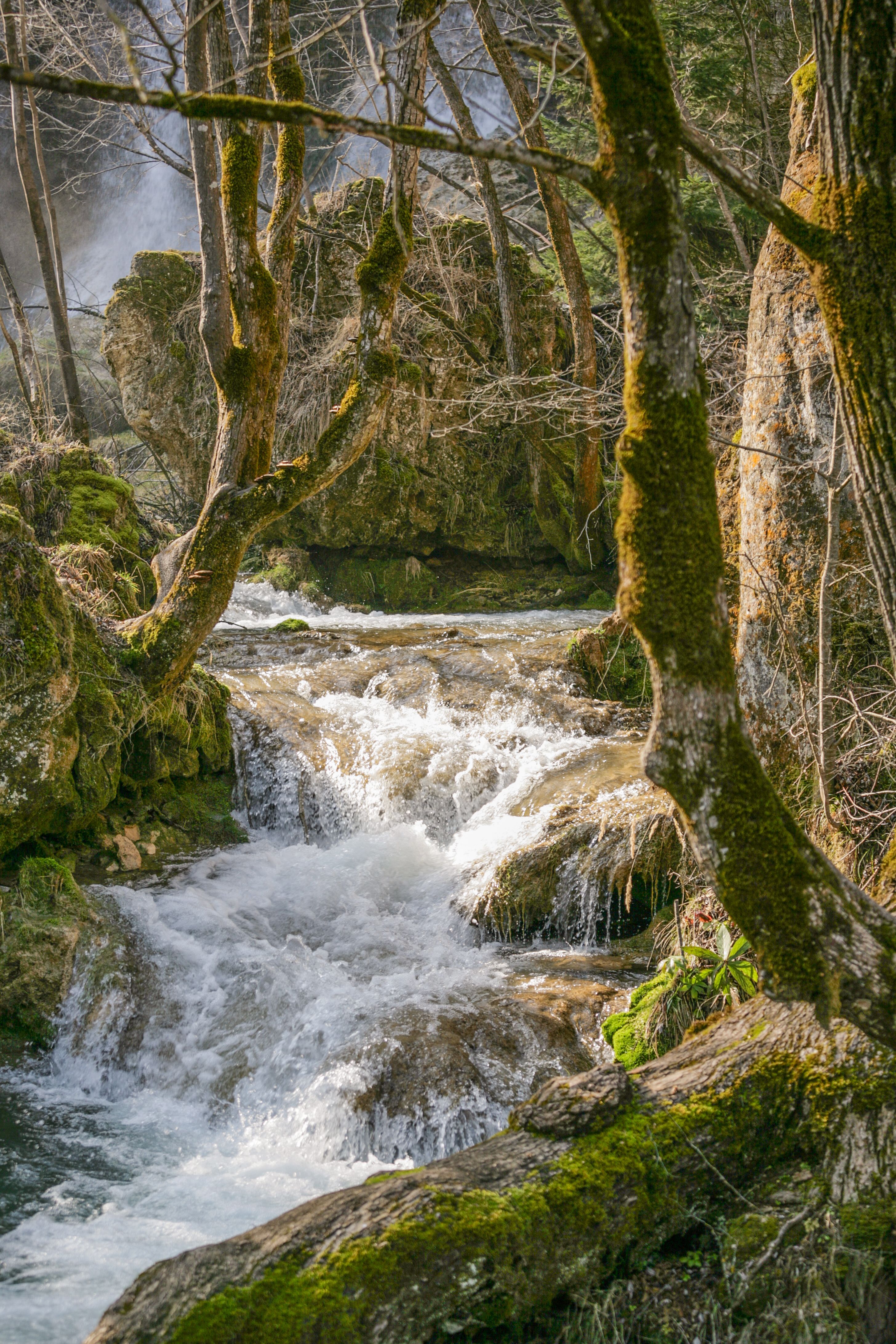 Backgrounds Jungle River Waterfall Wallpaper Forest, Water, Mountains,