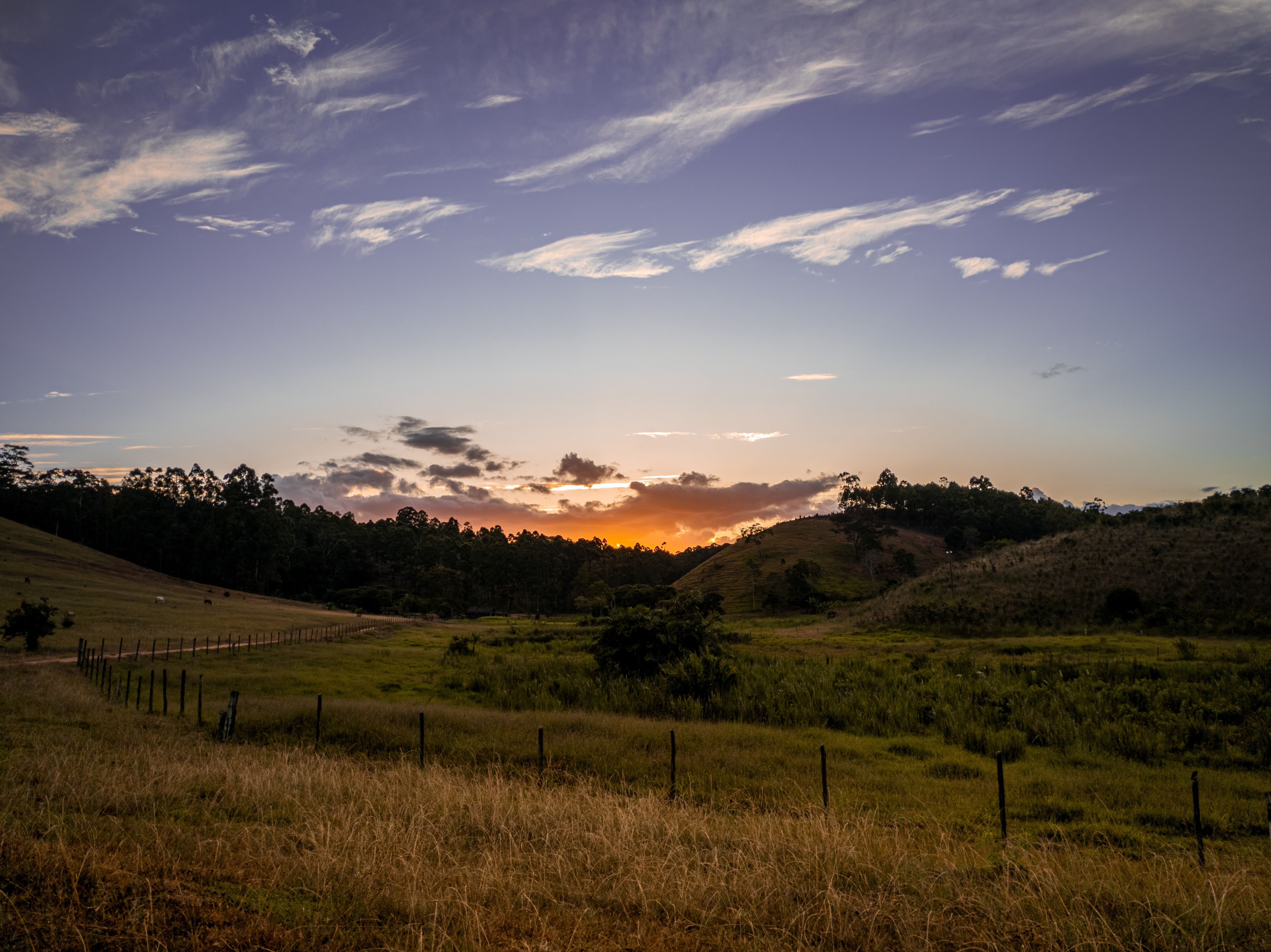 Forest Scenery Photos, Download The BEST Free Forest Scenery Stock ...