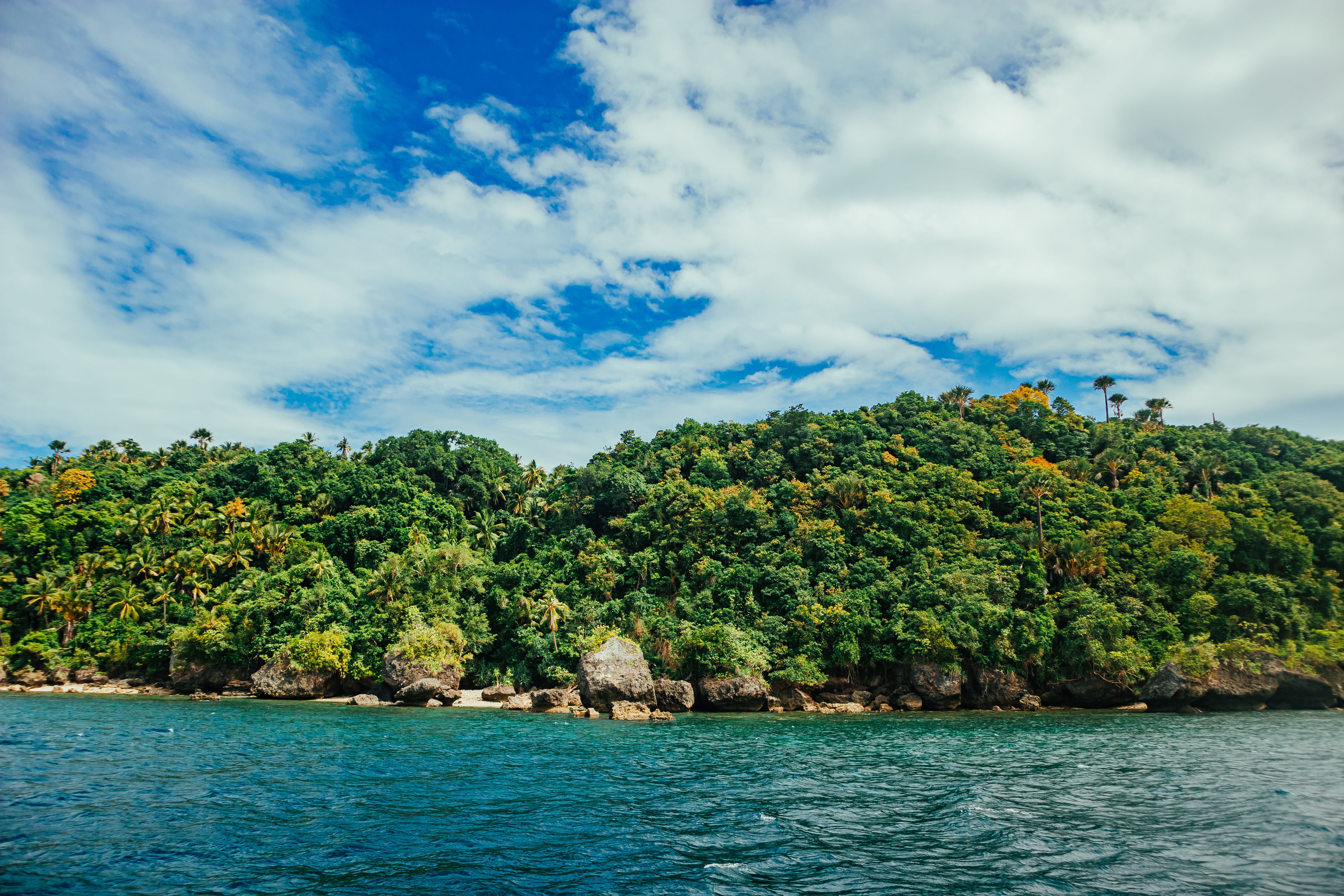 Island Covered With Green Trees Under the Clear Skies · Free Stock Photo