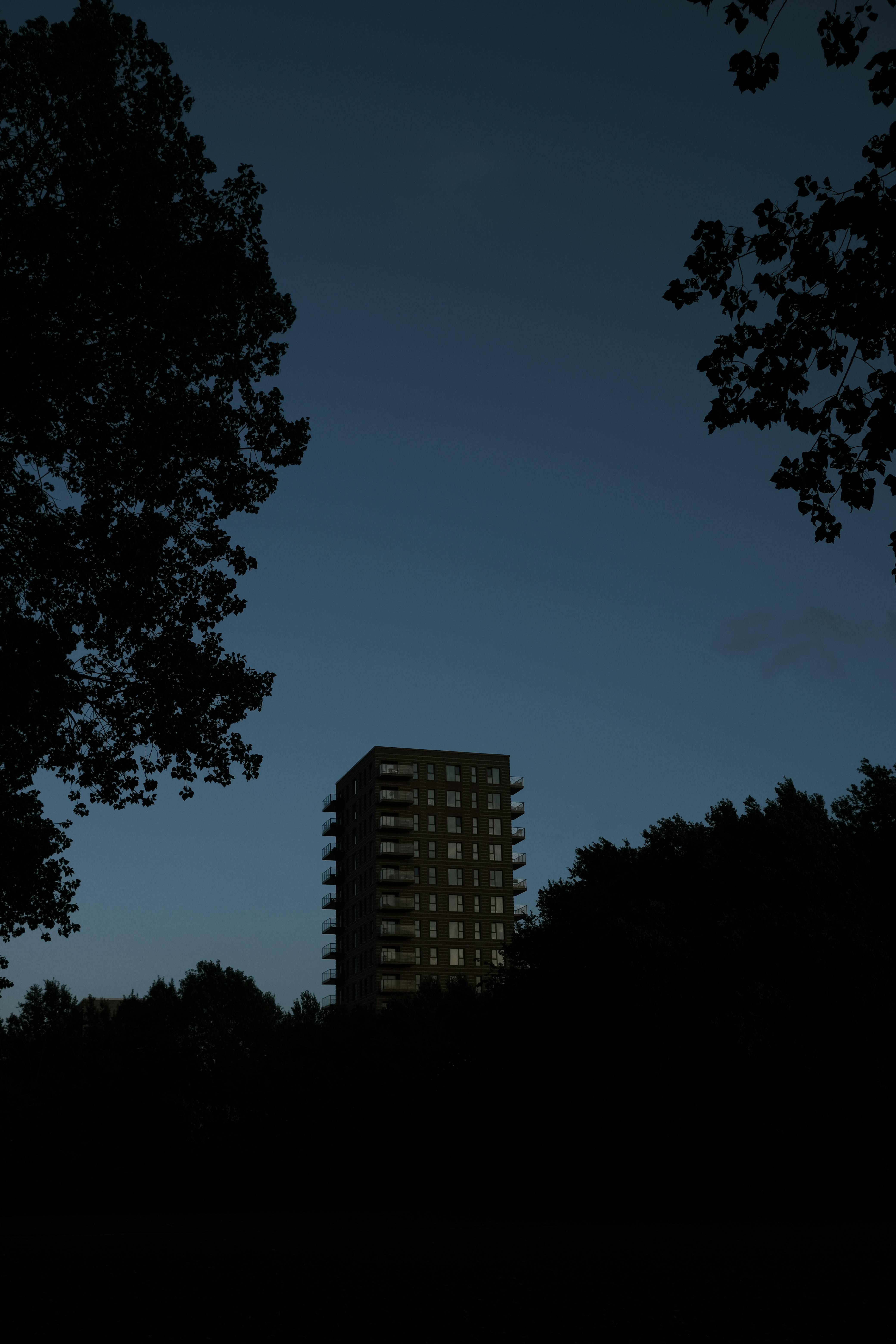 Skyscraper above Tree Line under Night Sky · Free Stock Photo