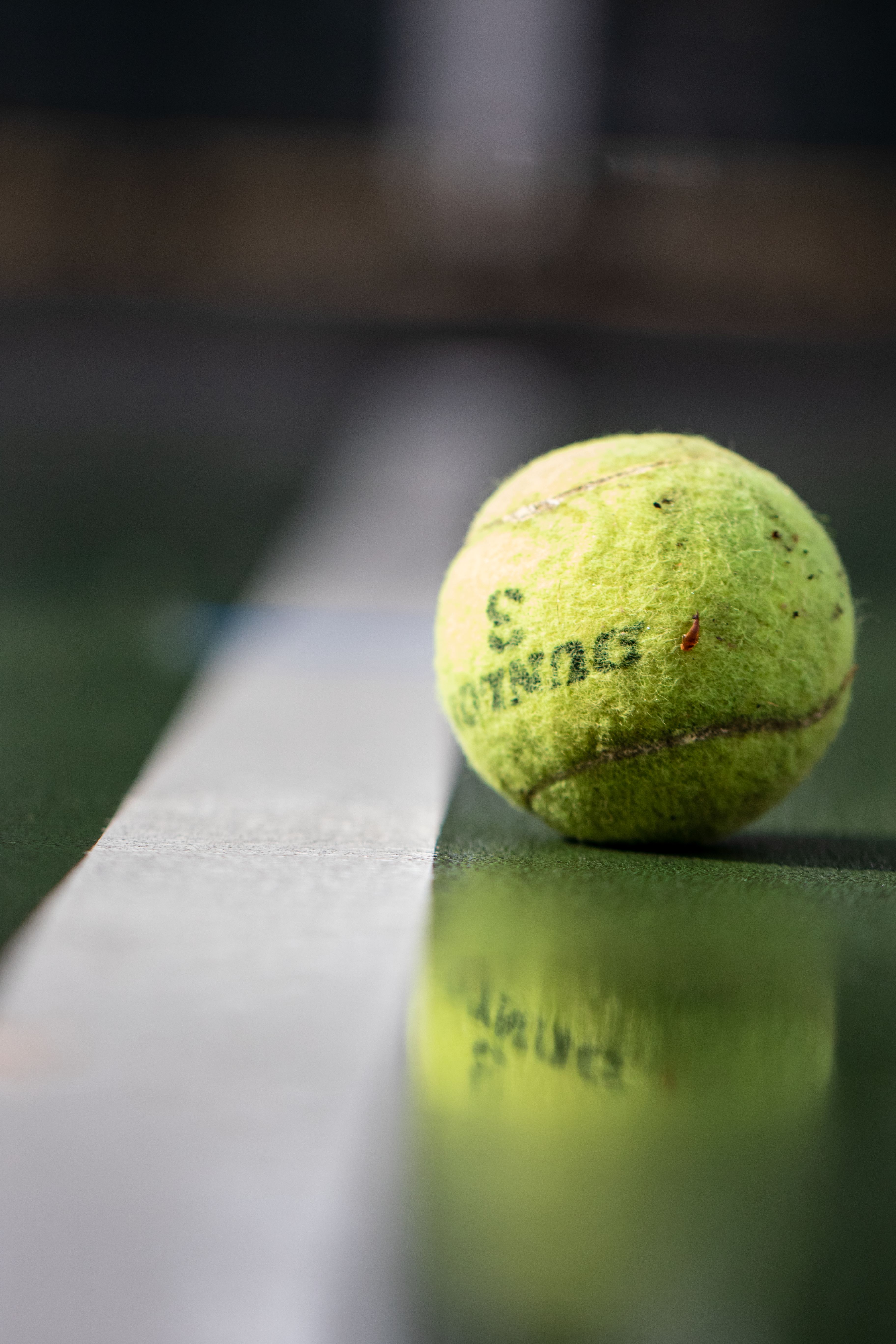 Wilson Tennis Ball Close-up · Free Stock Photo