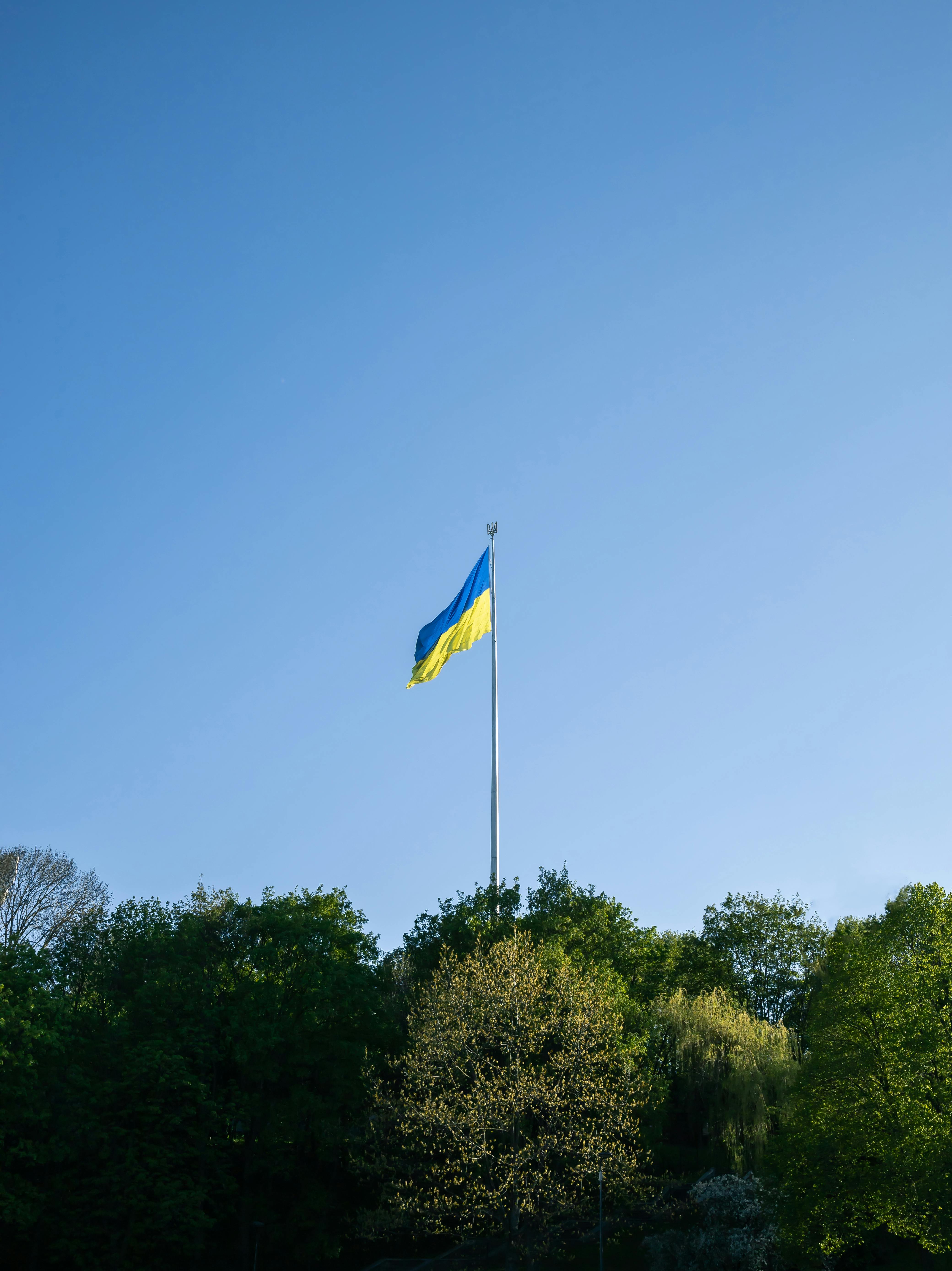 A ukrainian flag flying in the sky over a forest · Free Stock Photo