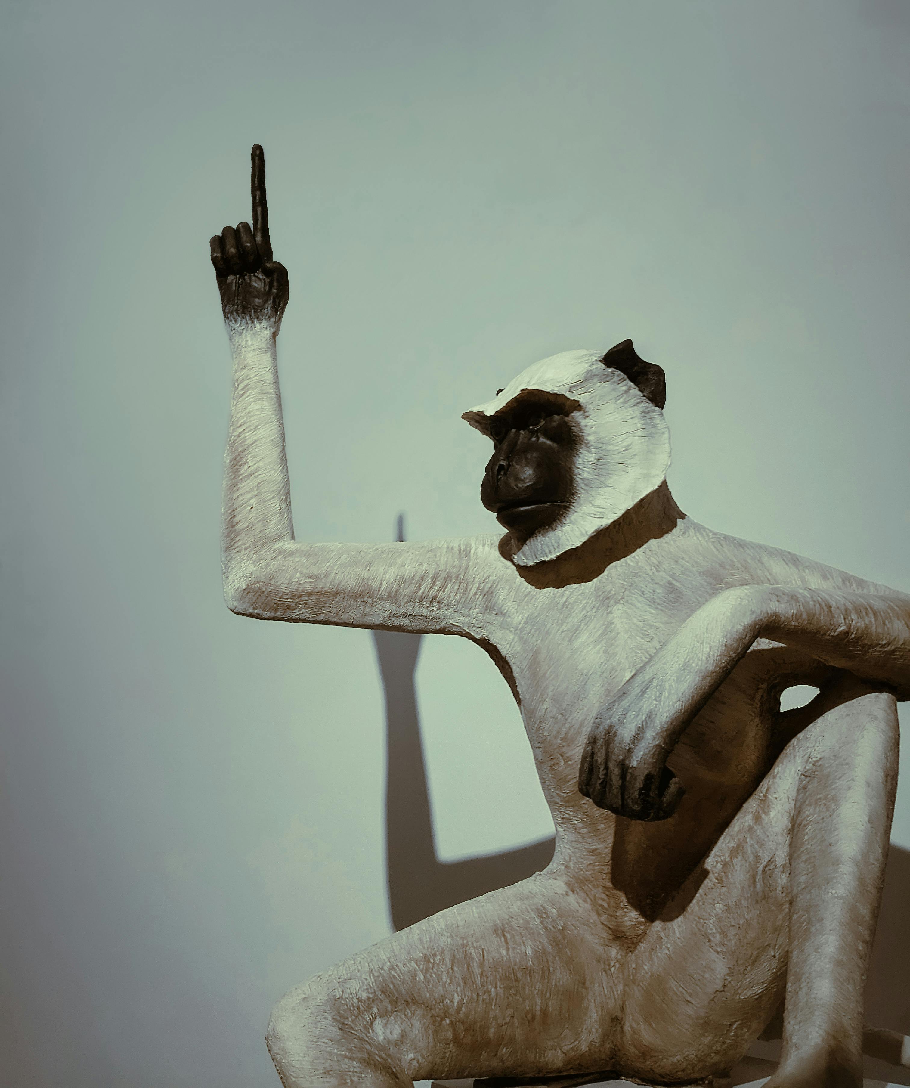 Figure of Monkey · Free Stock Photo