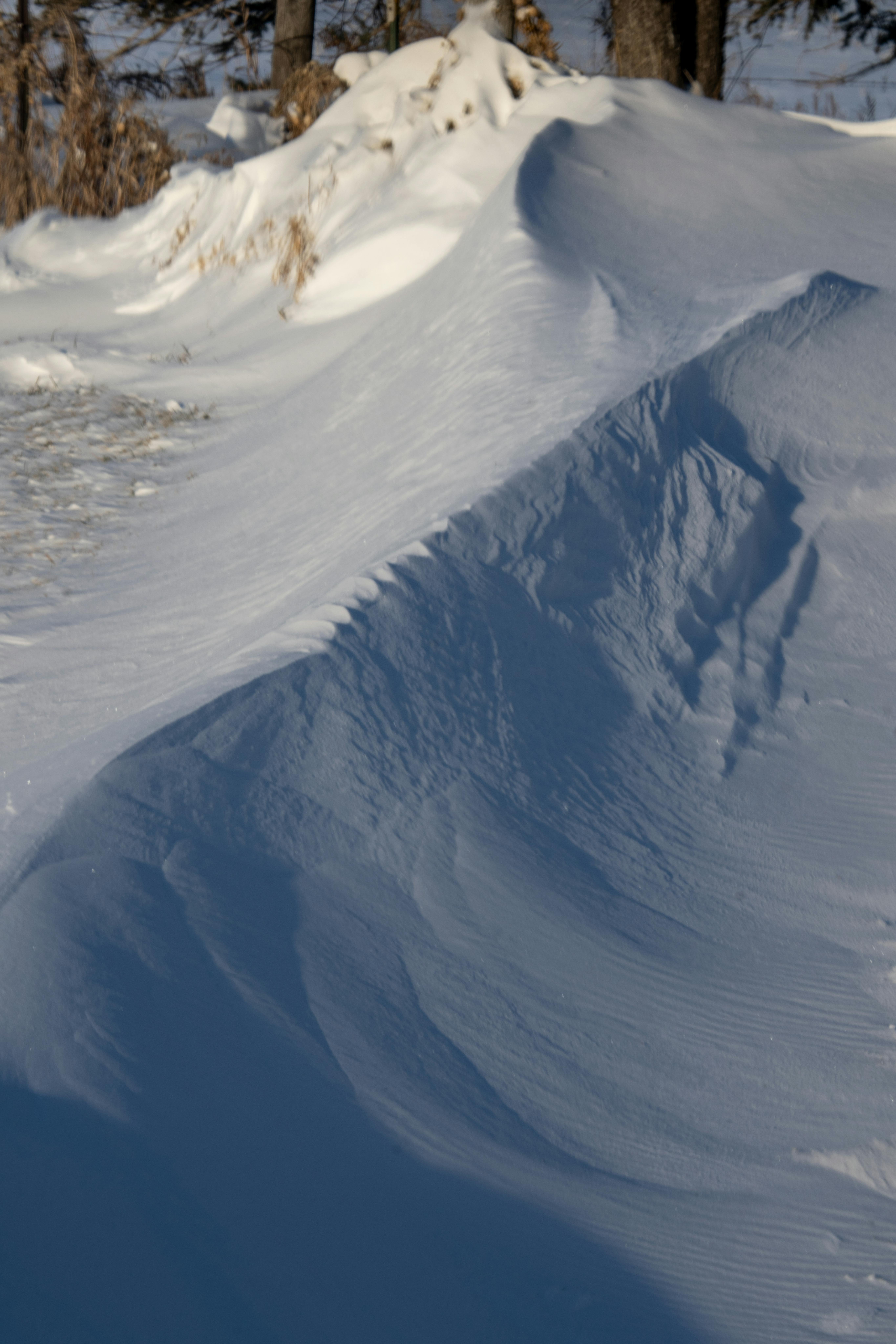 Closeup of a Snow Berm · Free Stock Photo