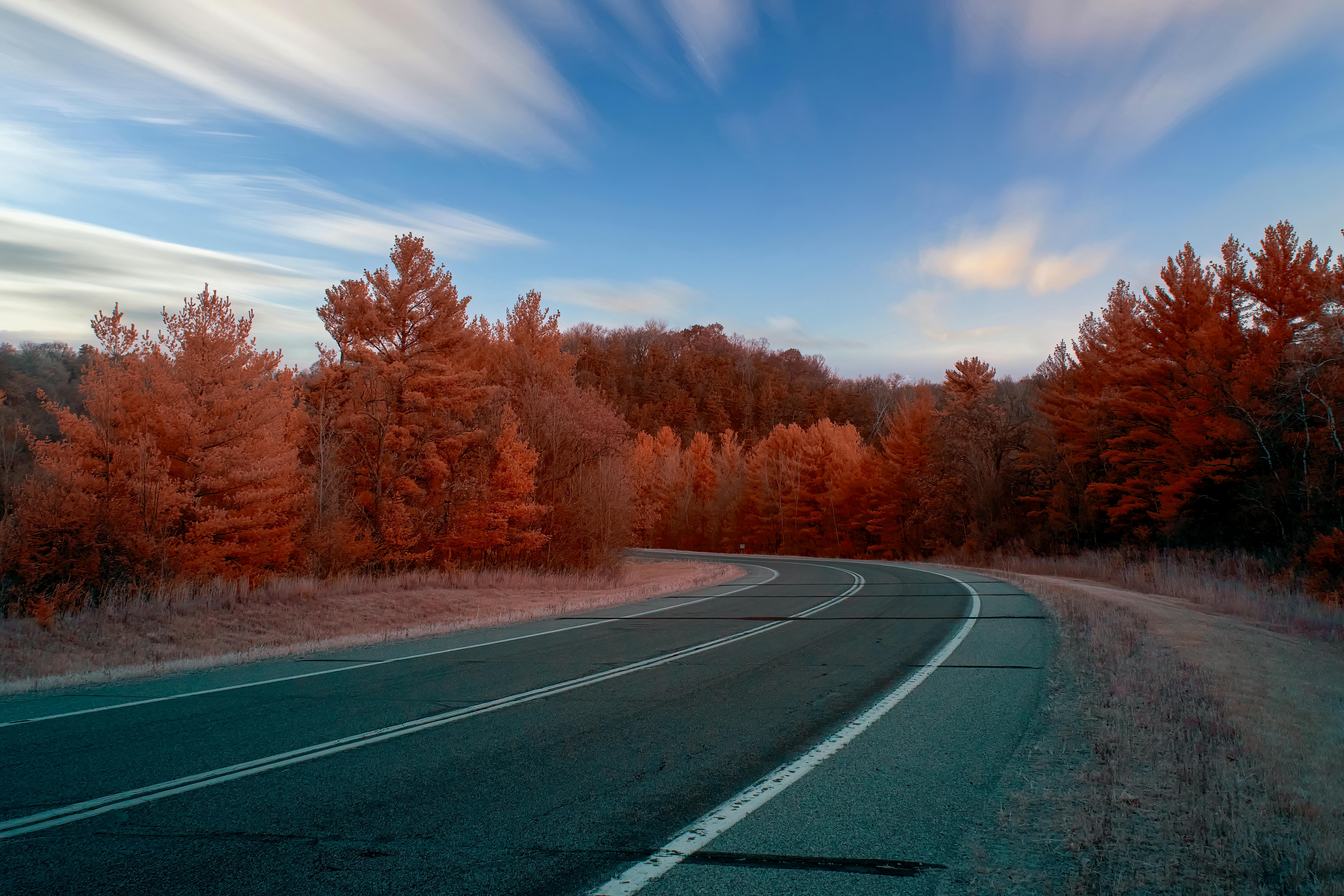 Asphalt Road and Red Autumn Trees · Free Stock Photo