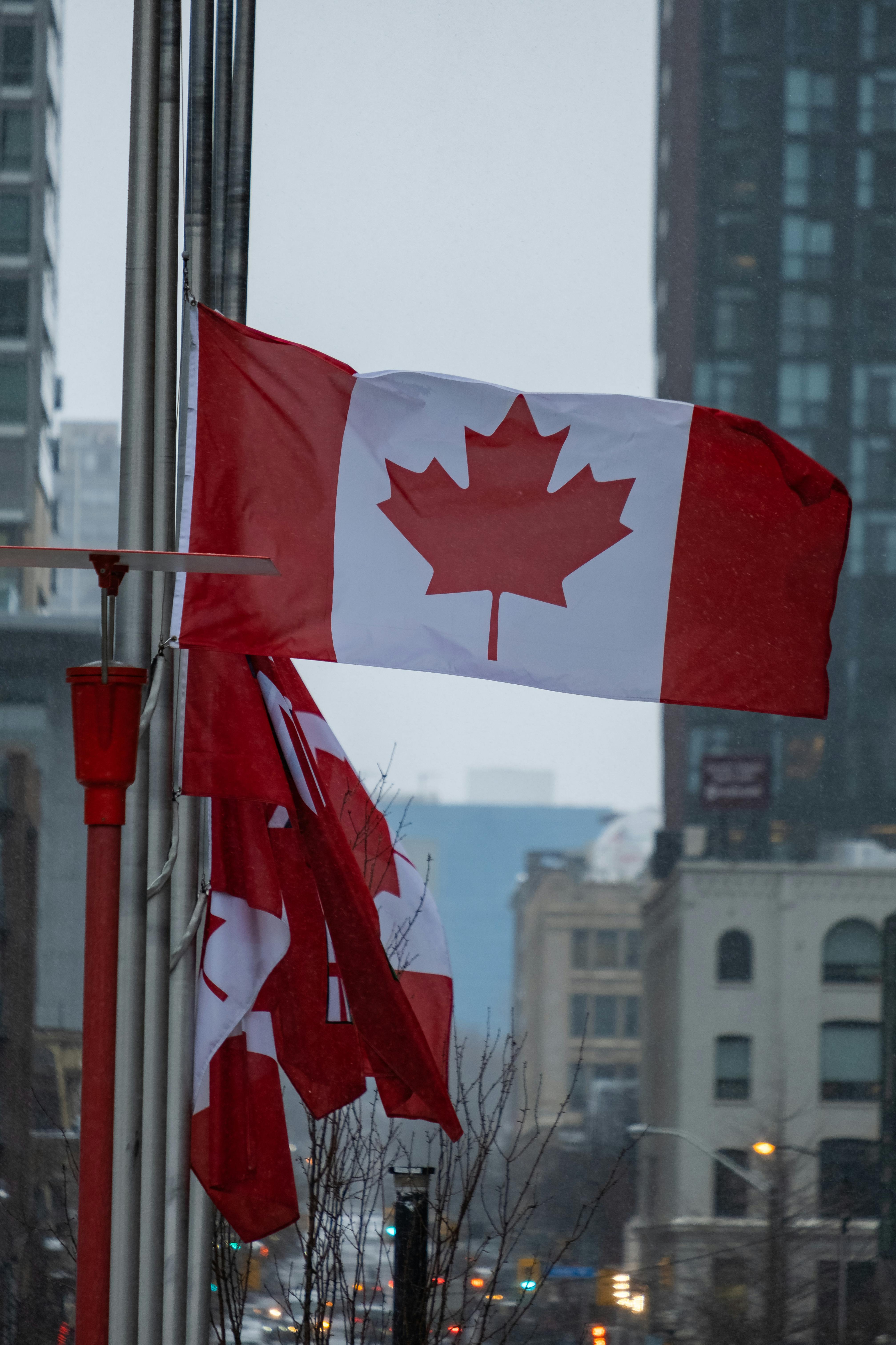 A Photograph of a Woman Holding a Canadian Flag · Free Stock Photo