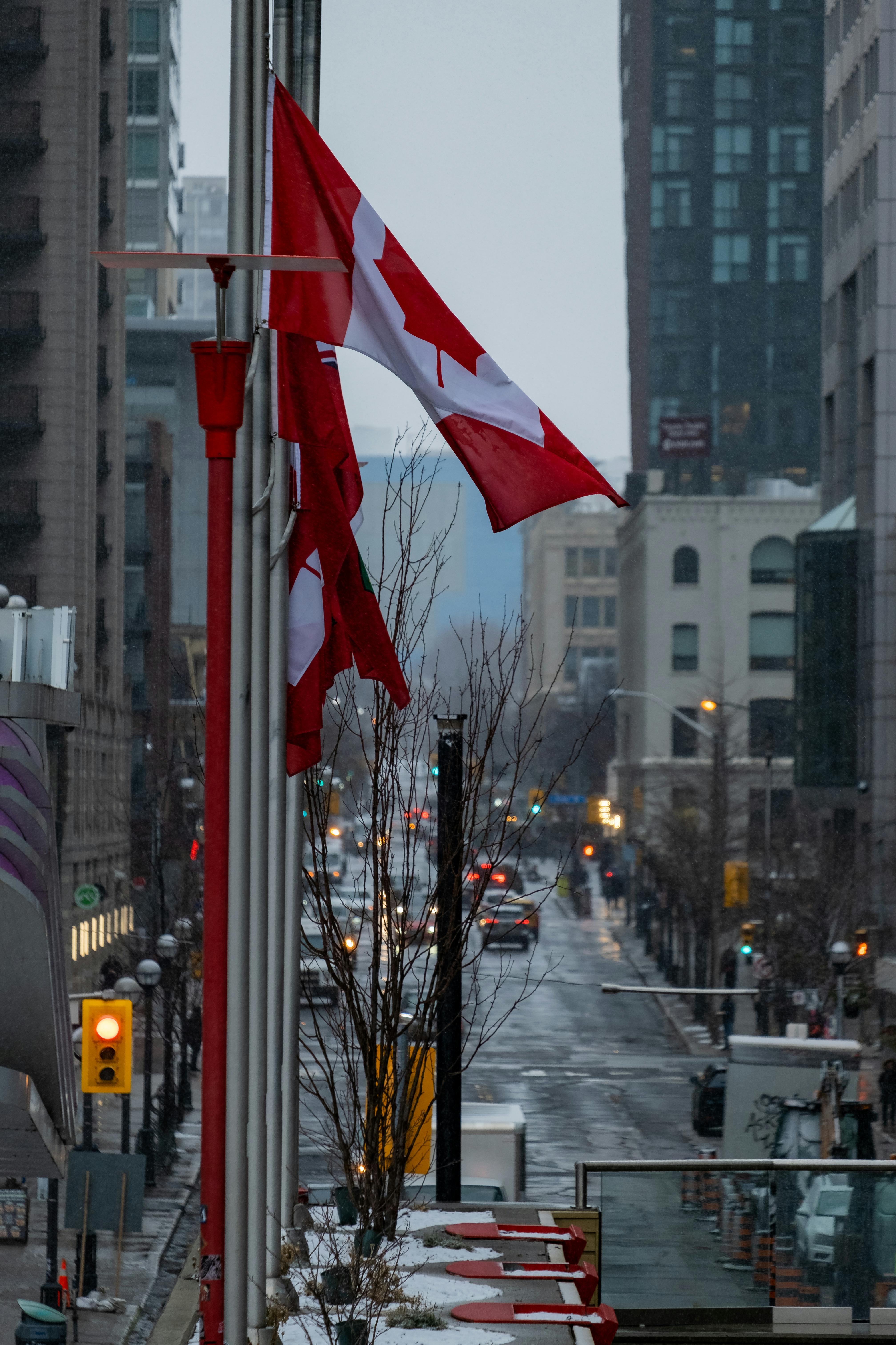 City Street with Modern Buildings and Canadian Flags · Free Stock Photo