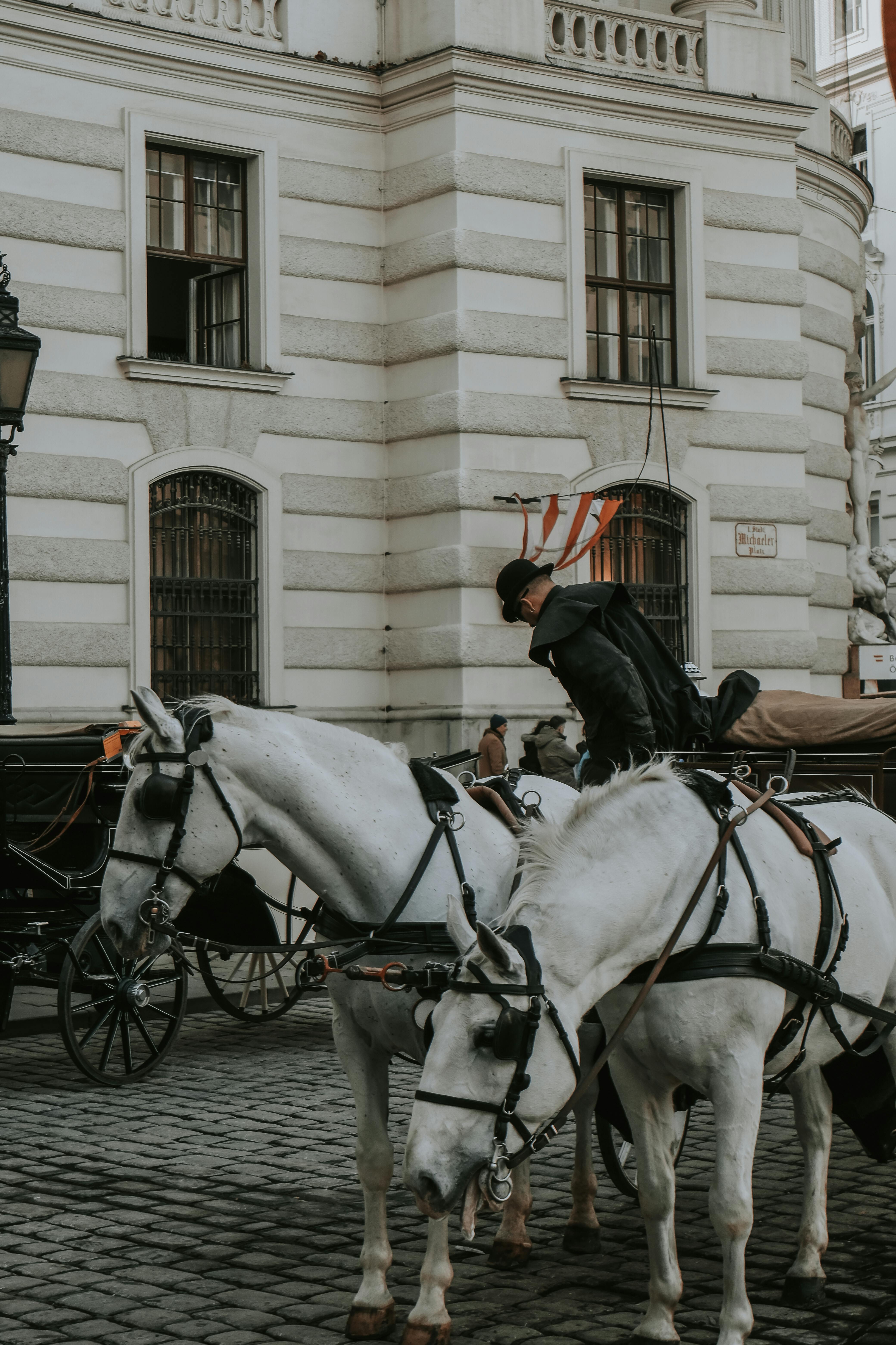 Swag Photos, Download The BEST Free Swag Stock Photos & HD Images