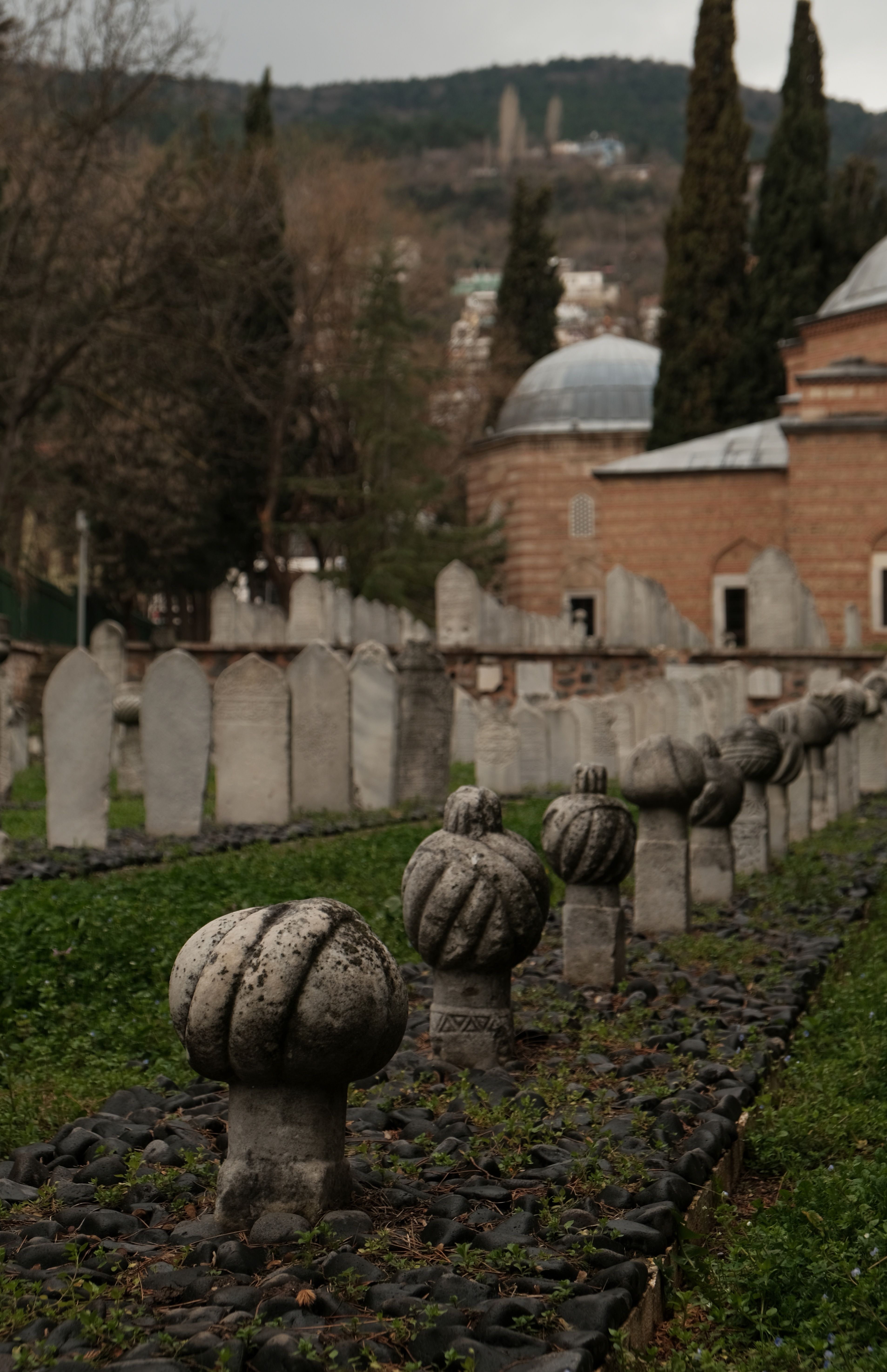 Rows of Cemetery Tombstones · Free Stock Photo