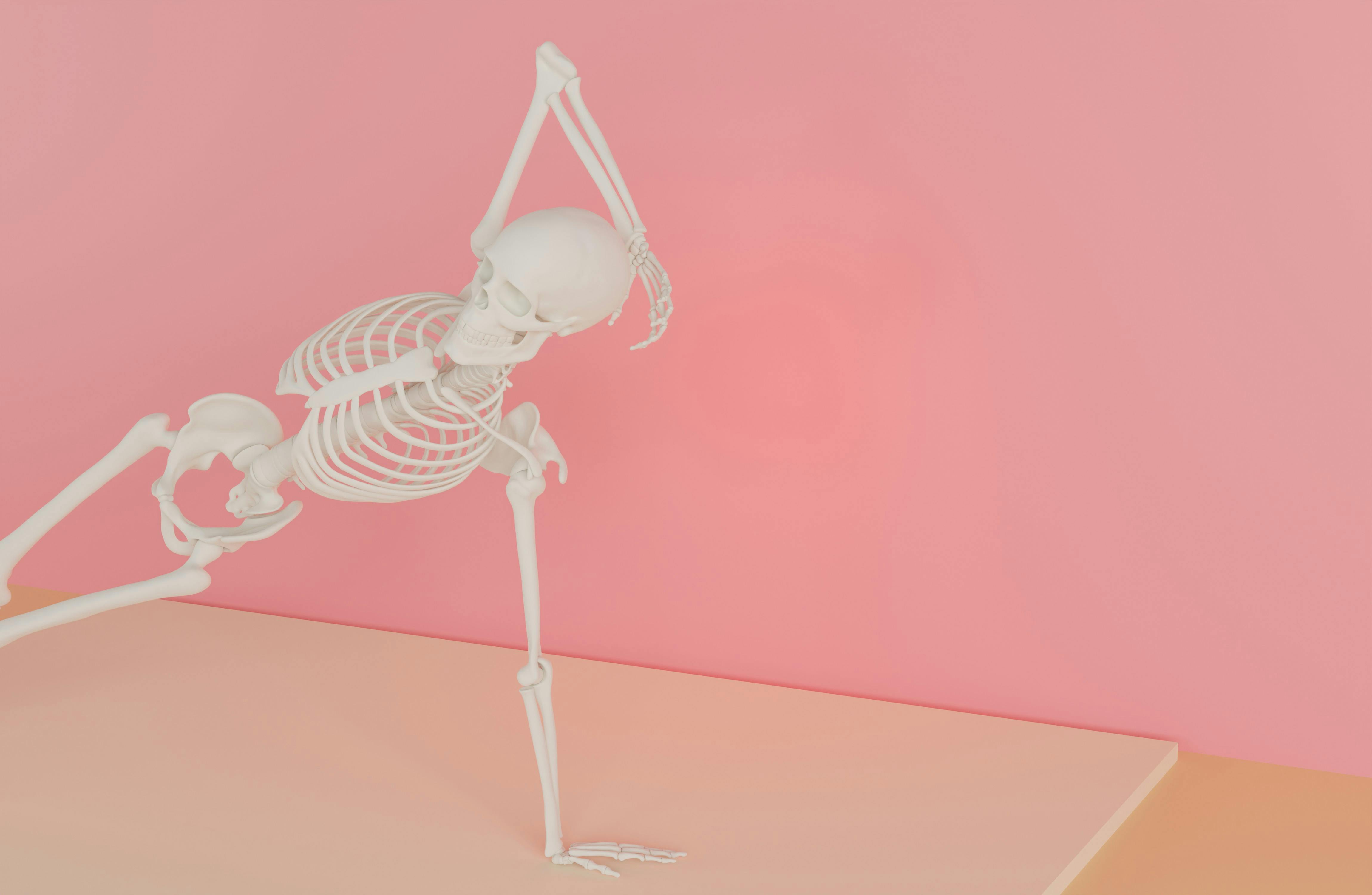 Human Skeleton Exercising on the Mat · Free Stock Photo