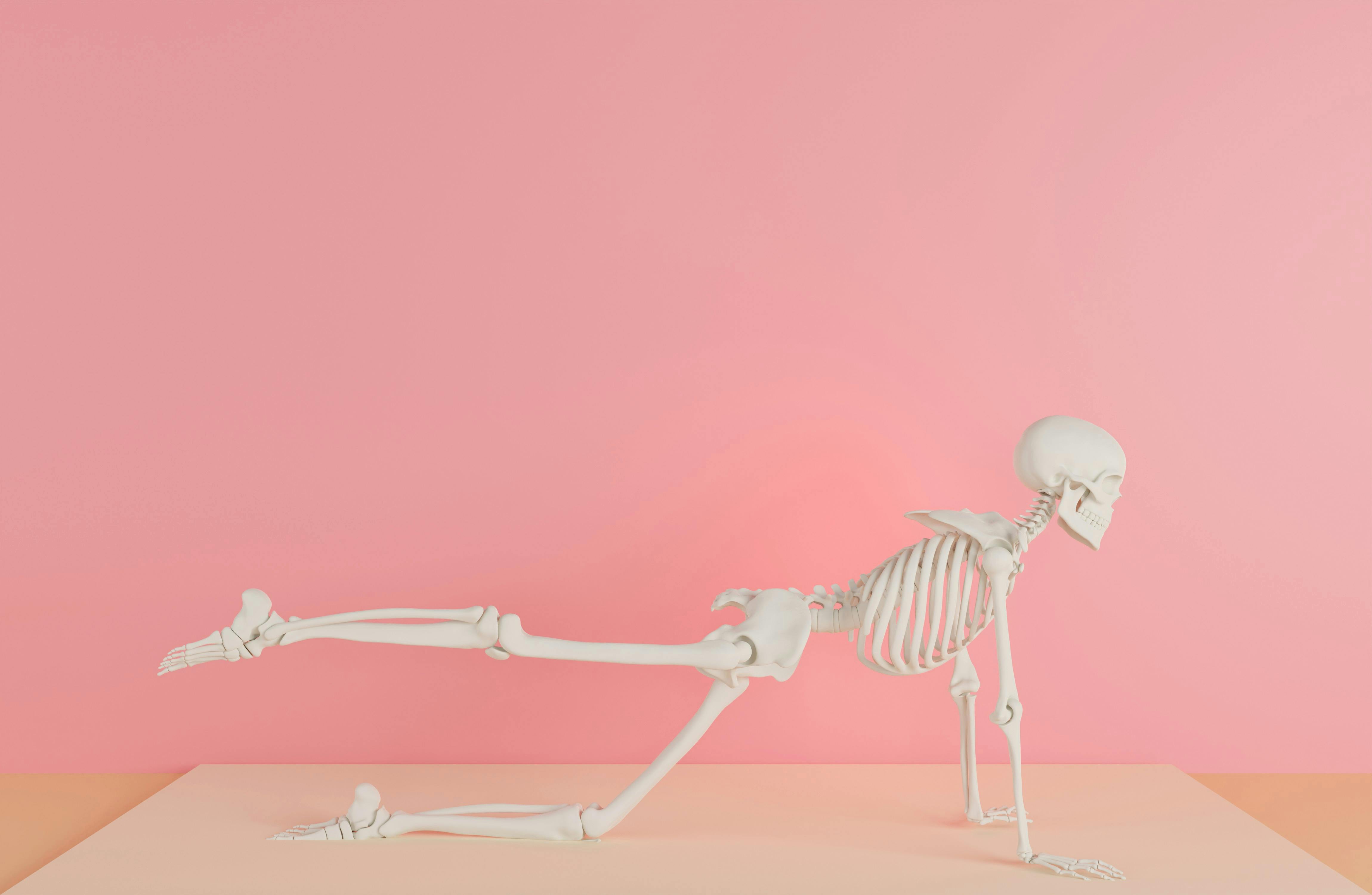 Human Skeleton Exercising in Pink Studio · Free Stock Photo