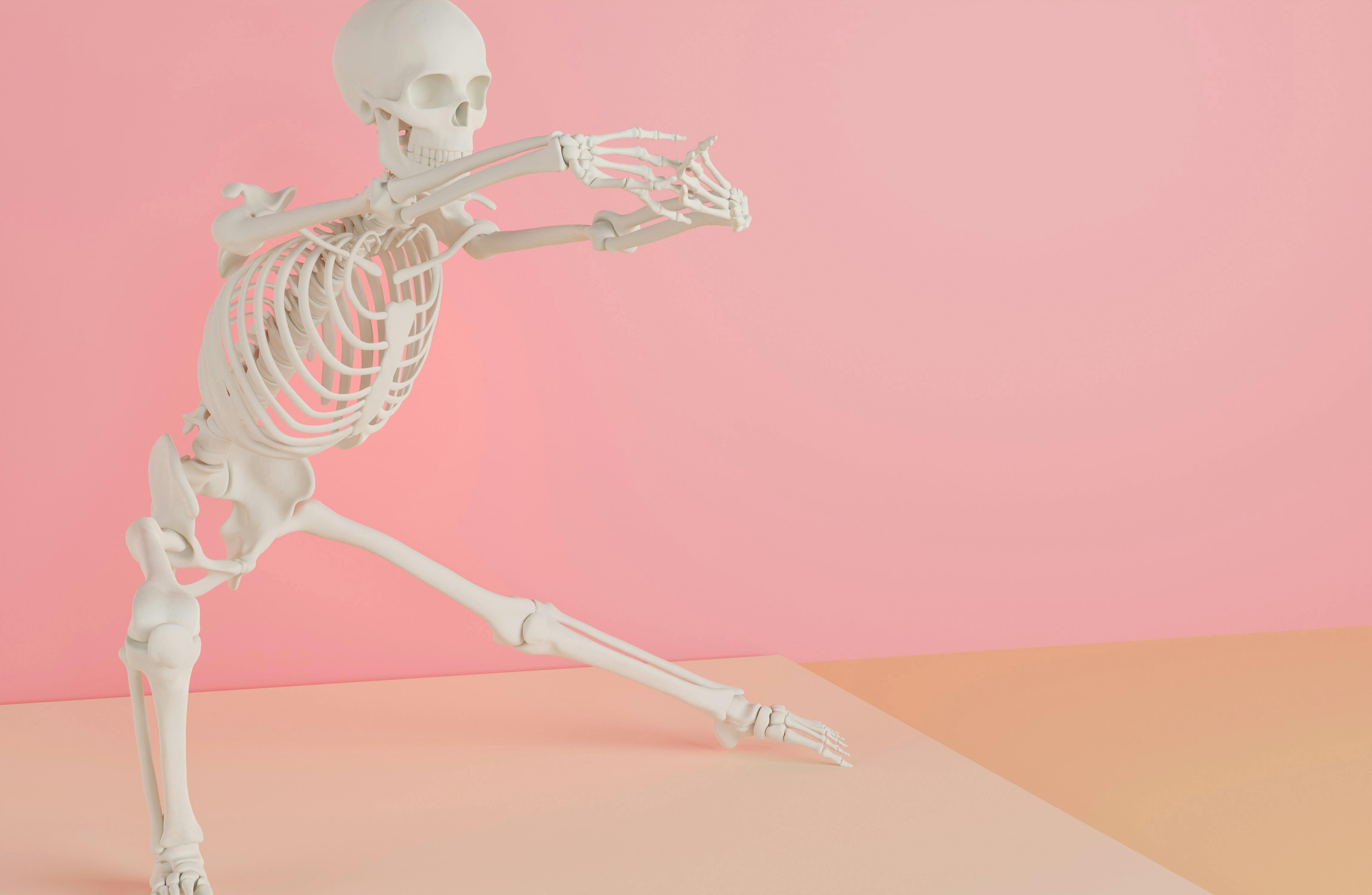 Portrait Photo of a Skeleton in Sunglasses and Wig · Free Stock Photo