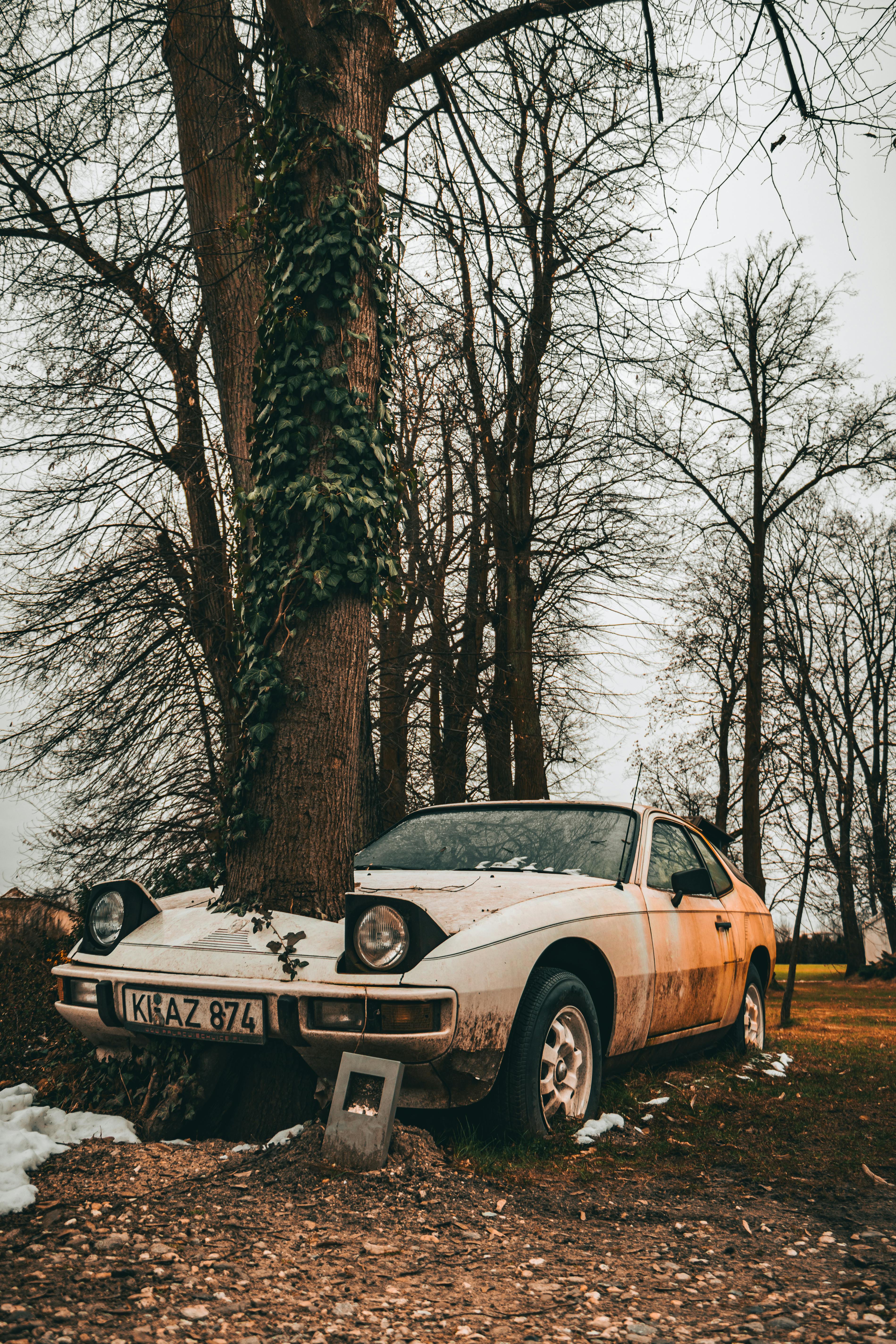 A Tree Growing out of an Abandoned Car · Free Stock Photo
