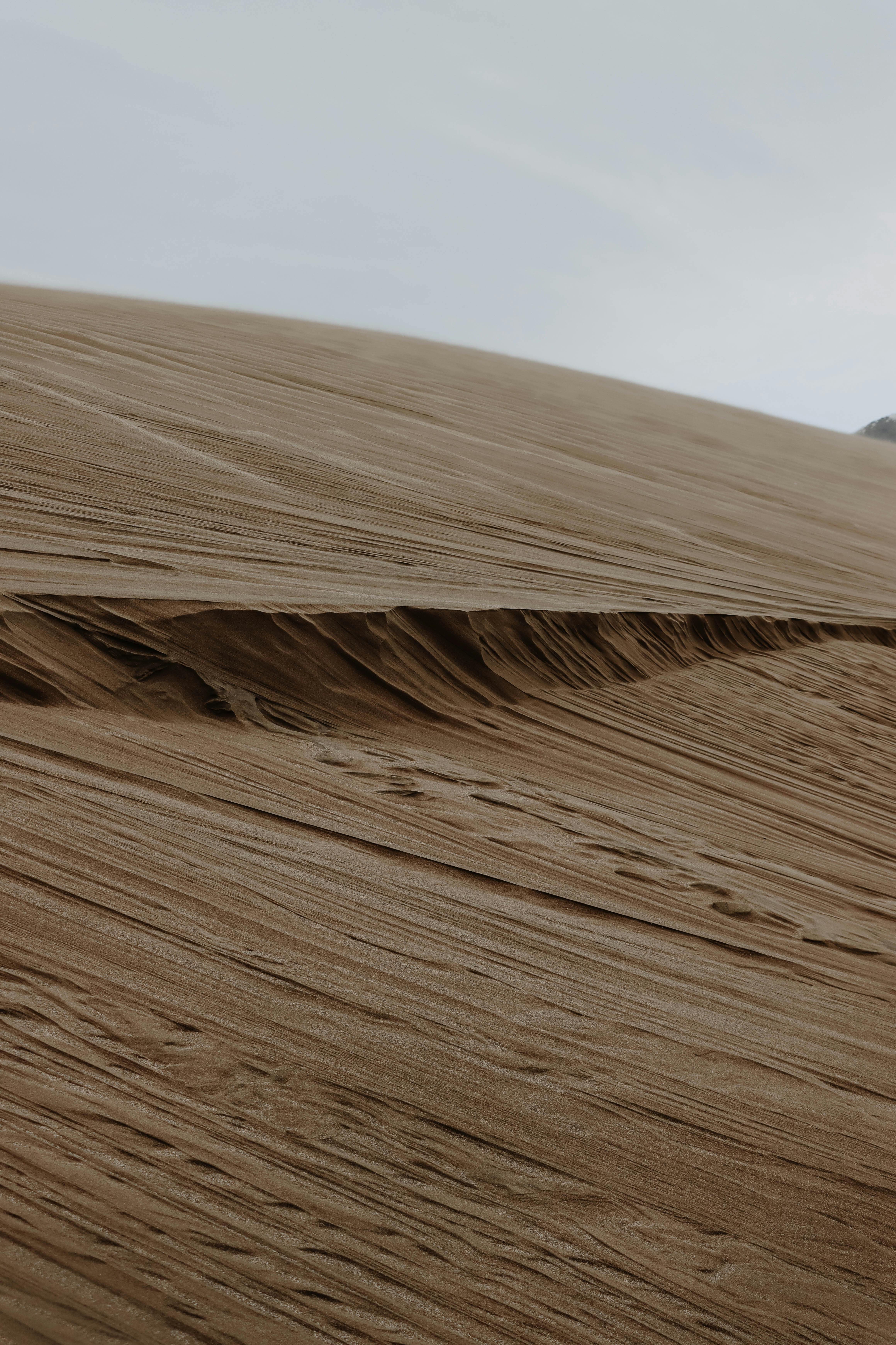 Texture of Desert · Free Stock Photo