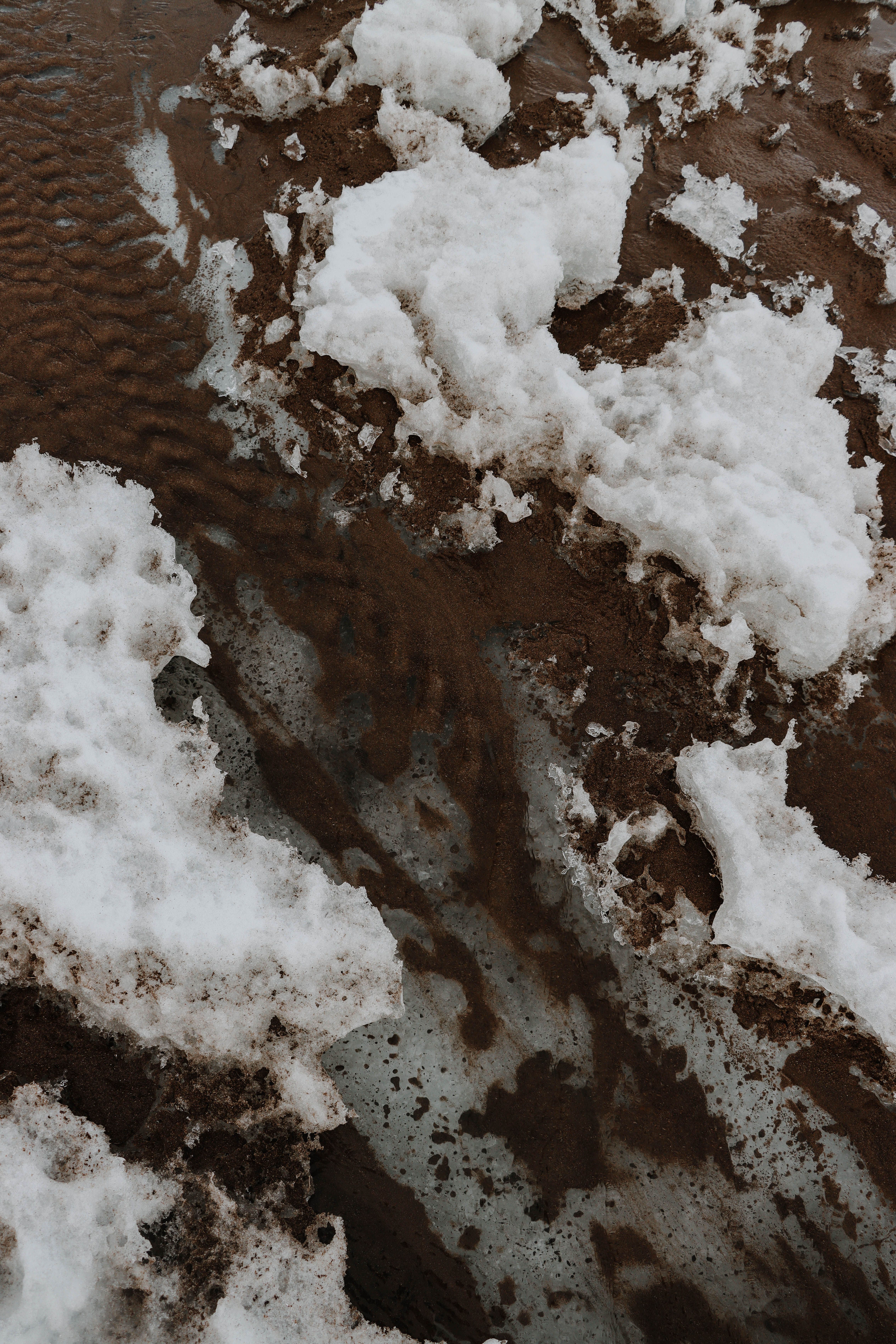 Close up of Snow on Ground · Free Stock Photo