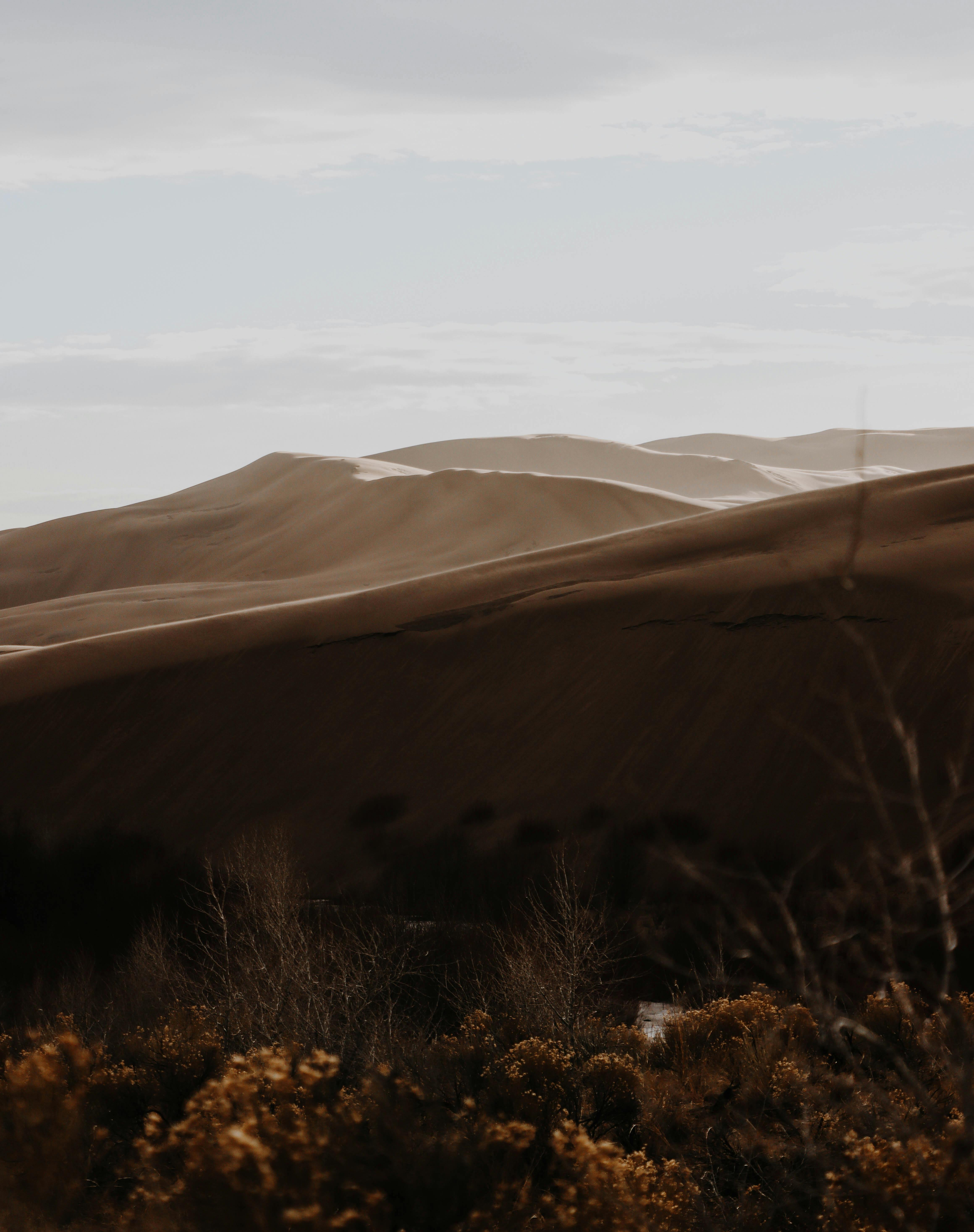 Colorado Landscape Photos, Download The BEST Free Colorado Landscape ...