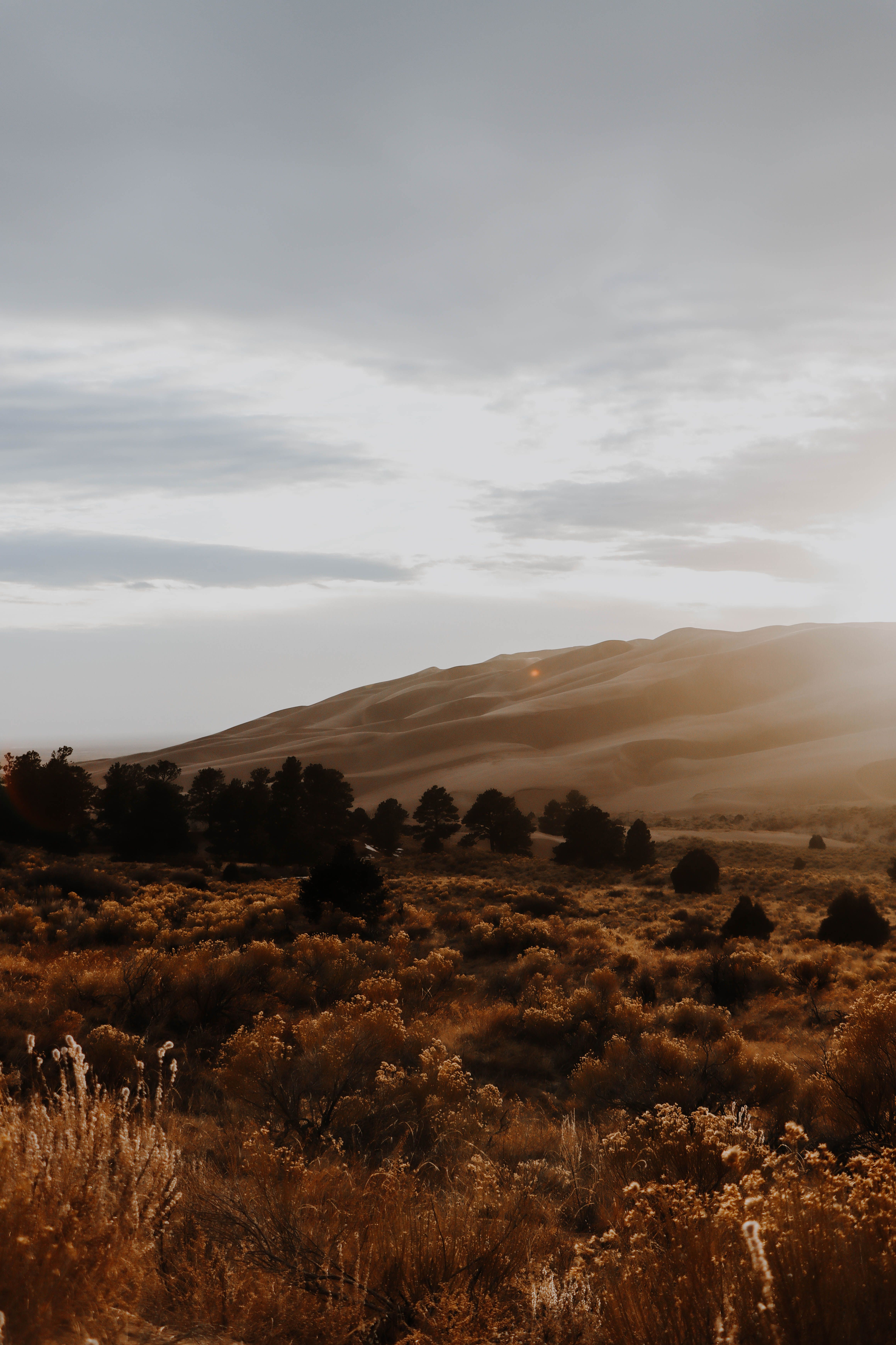 Trees and Hill in Countryside · Free Stock Photo