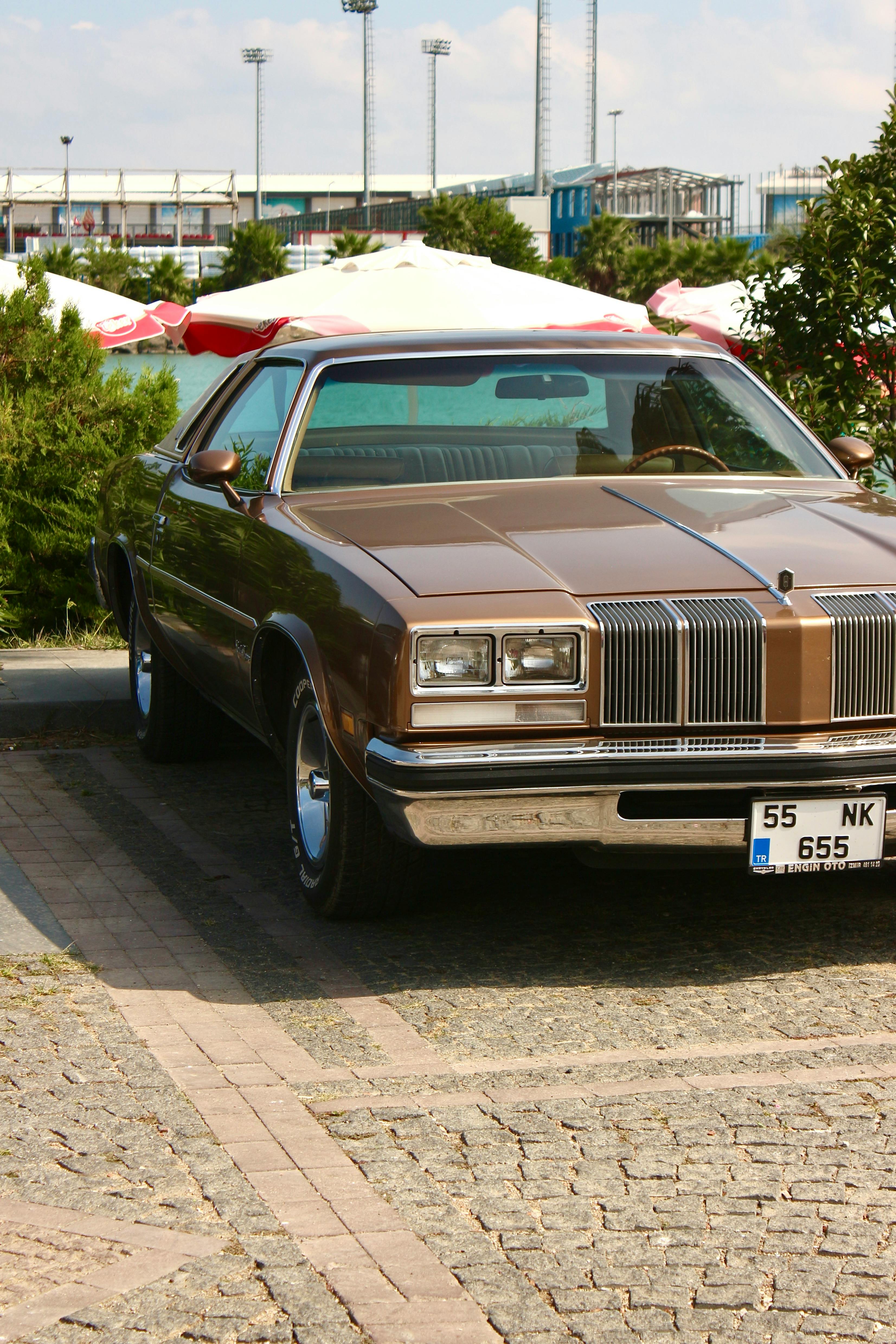 Cutlass Photos, Download The BEST Free Cutlass Stock Photos & HD Images