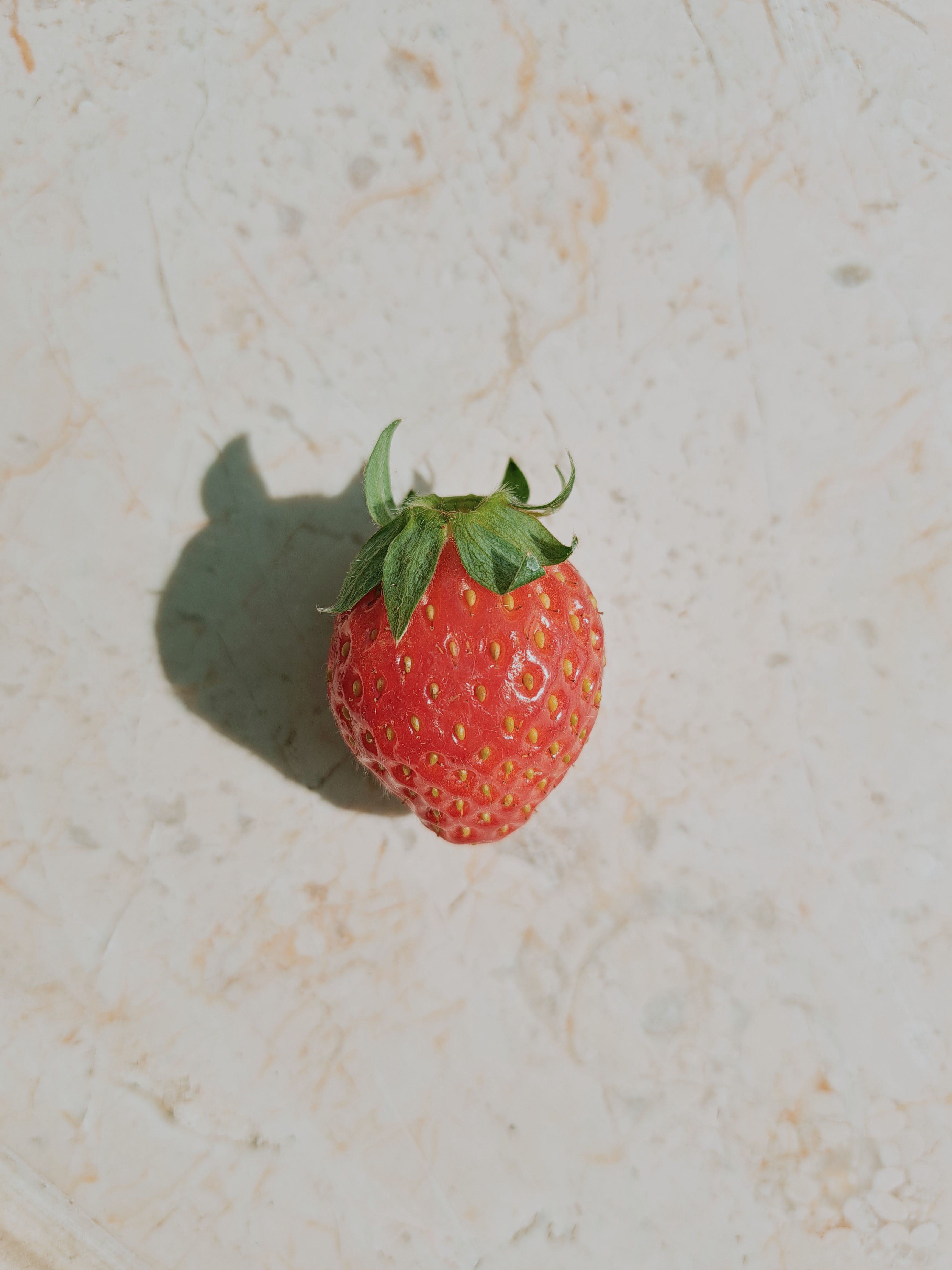 Close up of Strawberry · Free Stock Photo