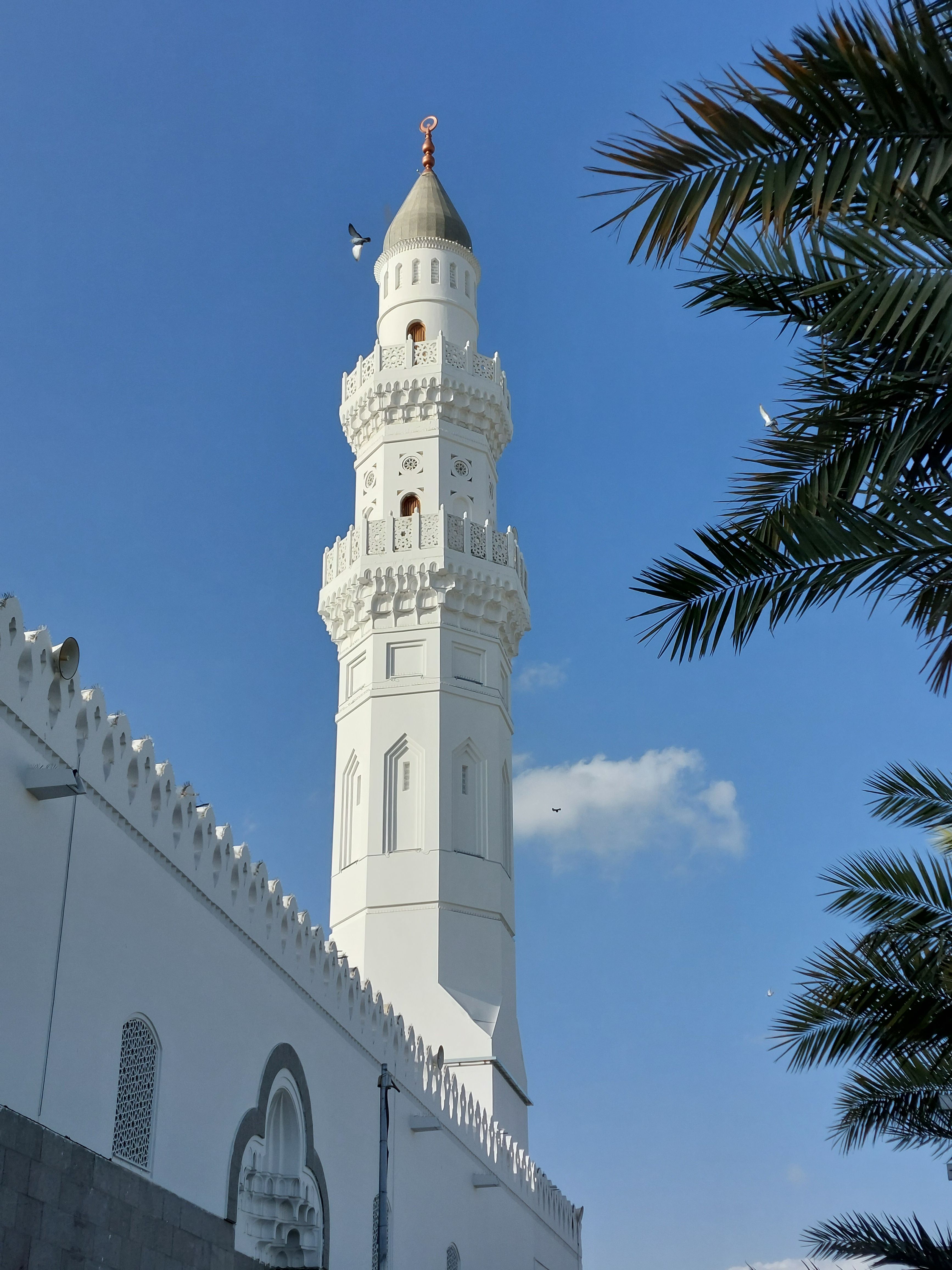 Prophets Mosque Minarets behind Umbrellas · Free Stock Photo