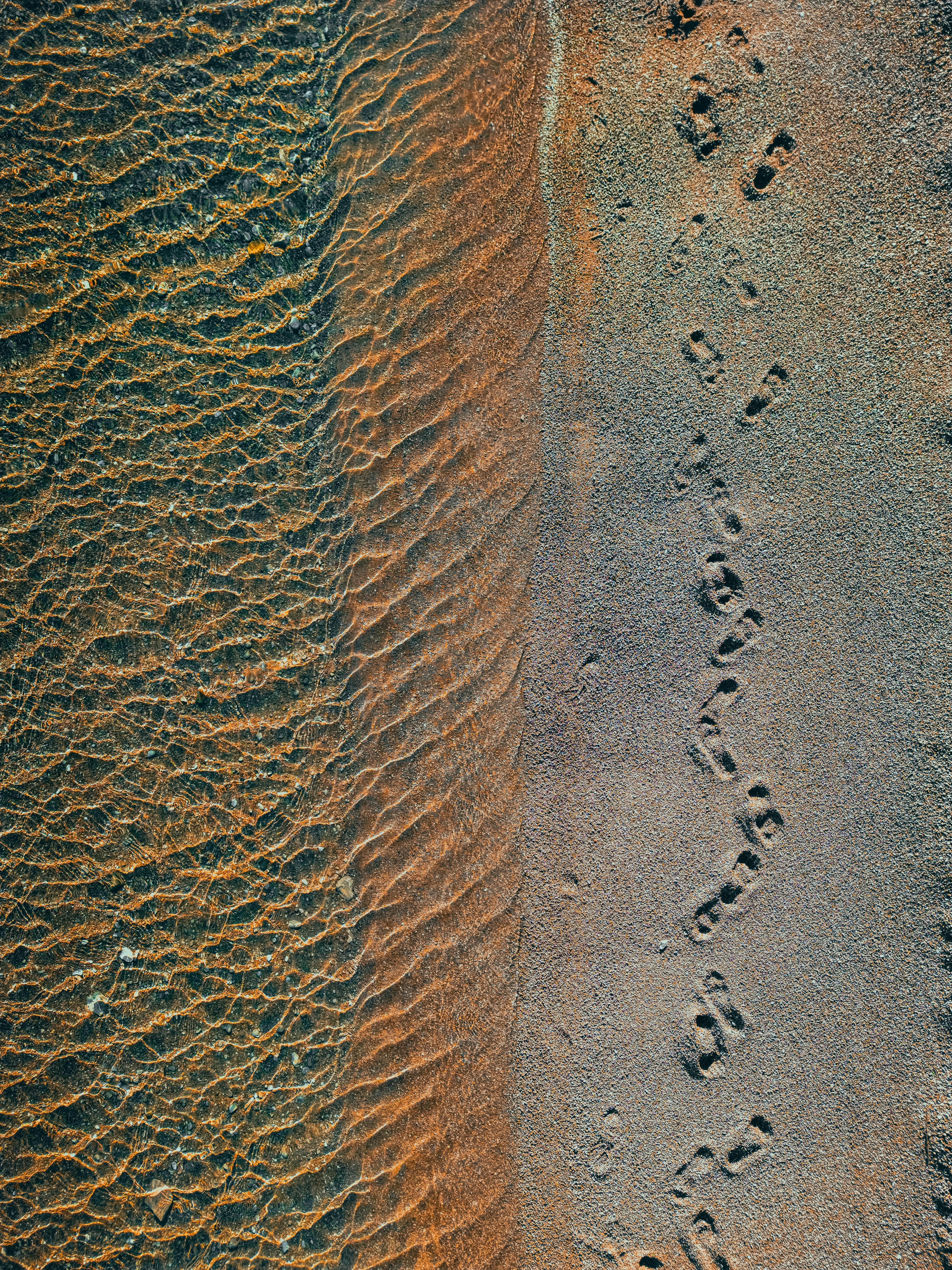 Scorpion Footprints Photos, Download The BEST Free Scorpion Footprints ...