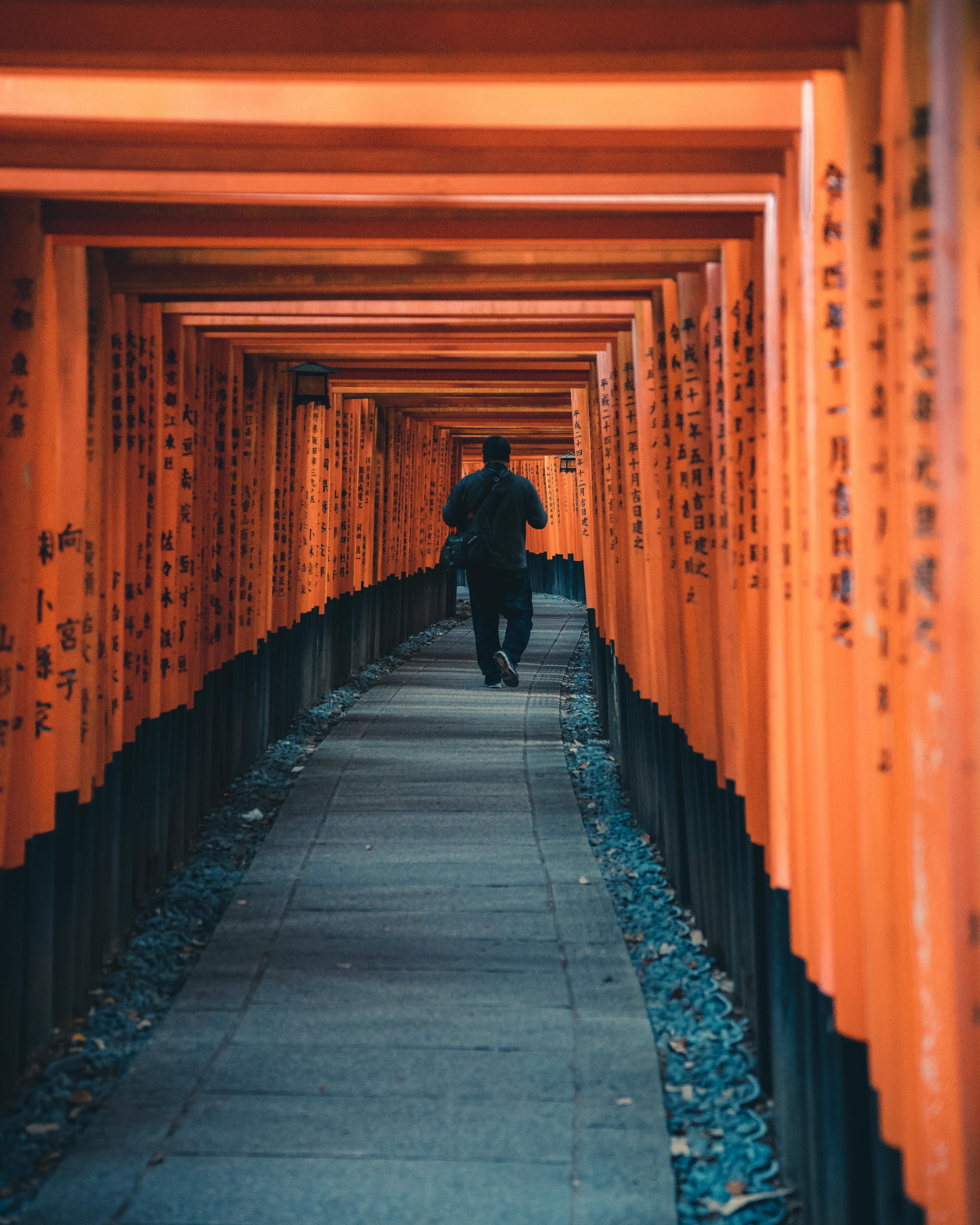 Man in Wooden Walking Passage · Free Stock Photo
