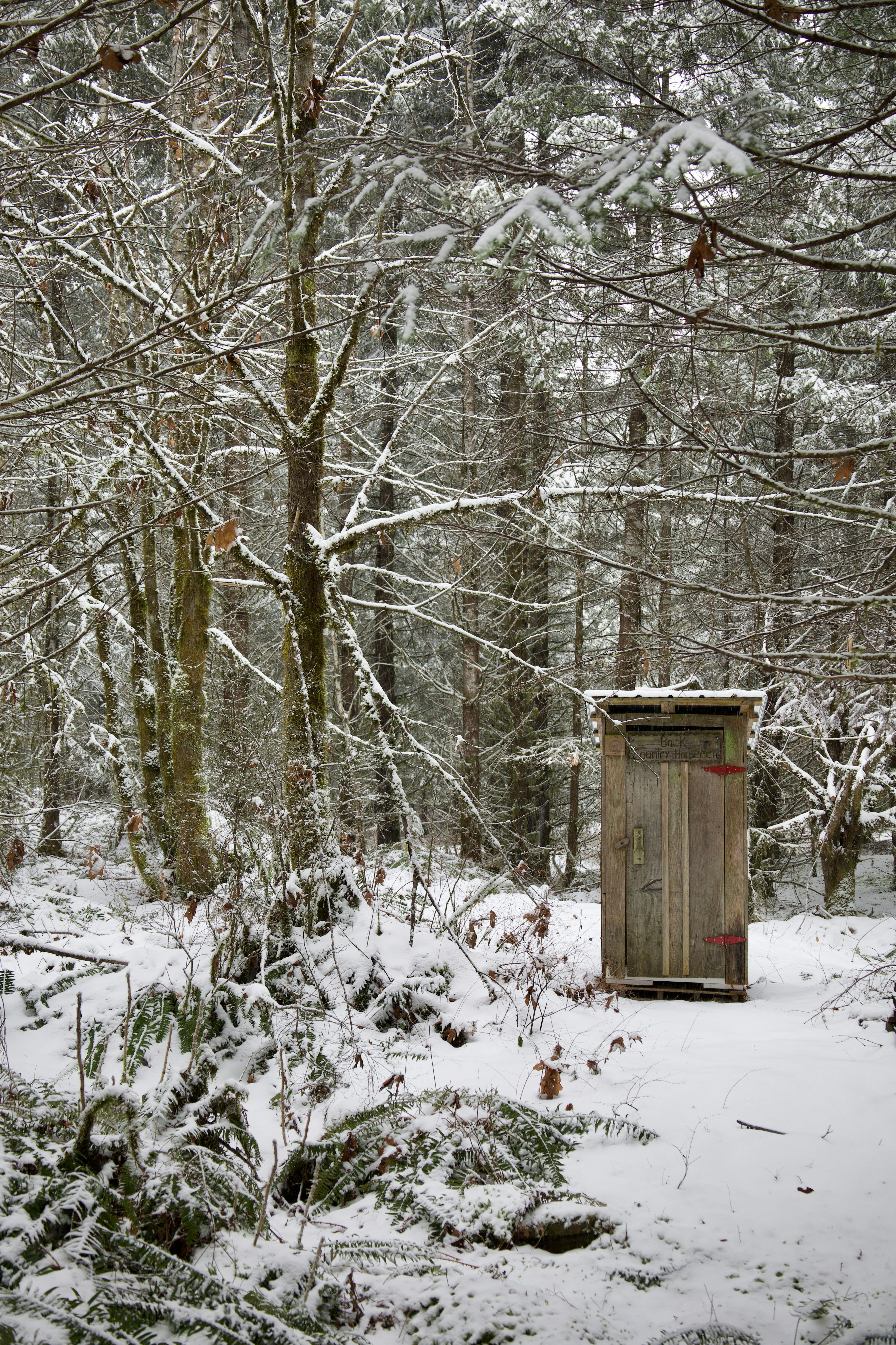 Shed in Forest in Winter · Free Stock Photo