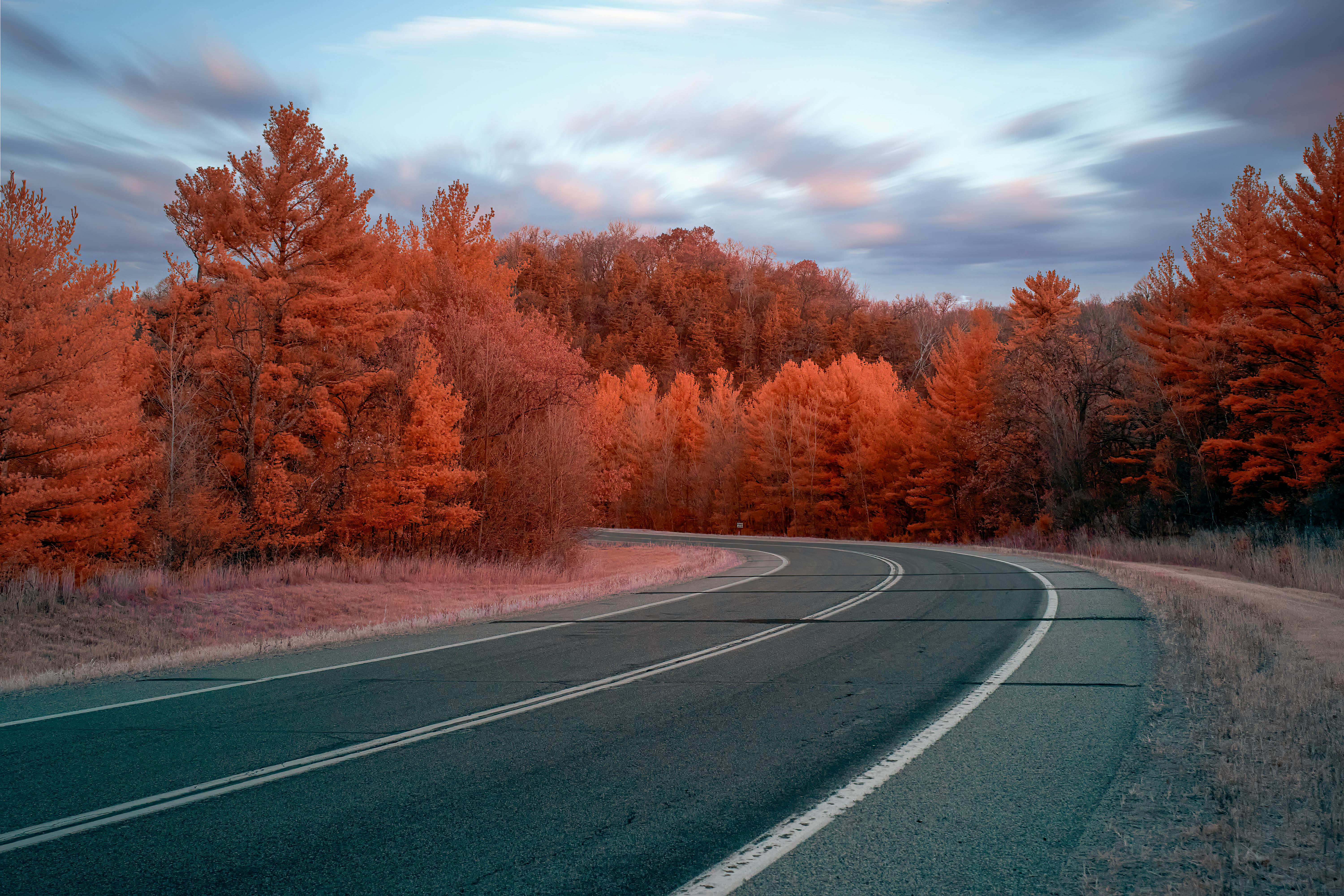 Highway in Autumn Forest · Free Stock Photo