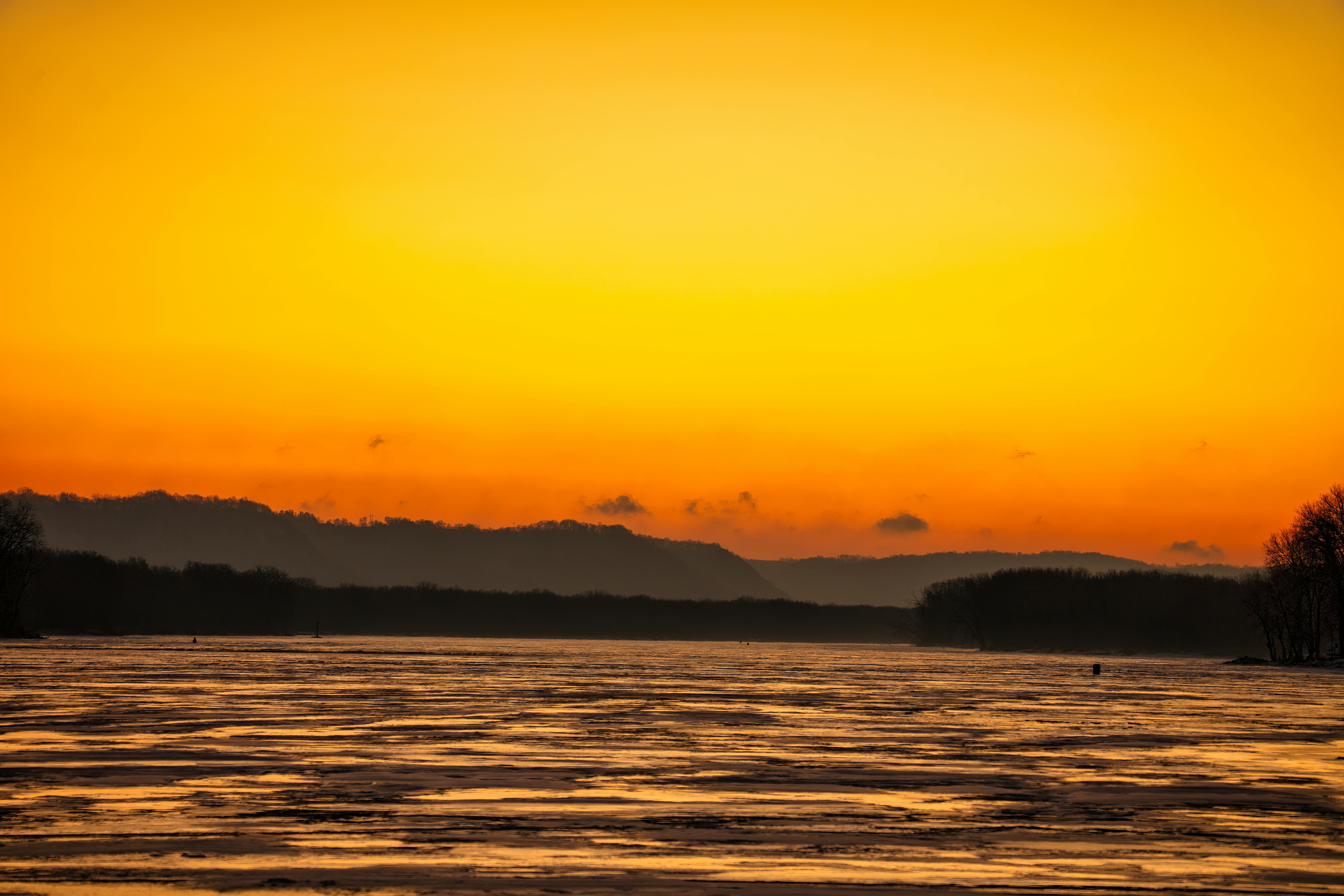 Green Tree Line Near Body of Water at Golden Hours · Free Stock Photo