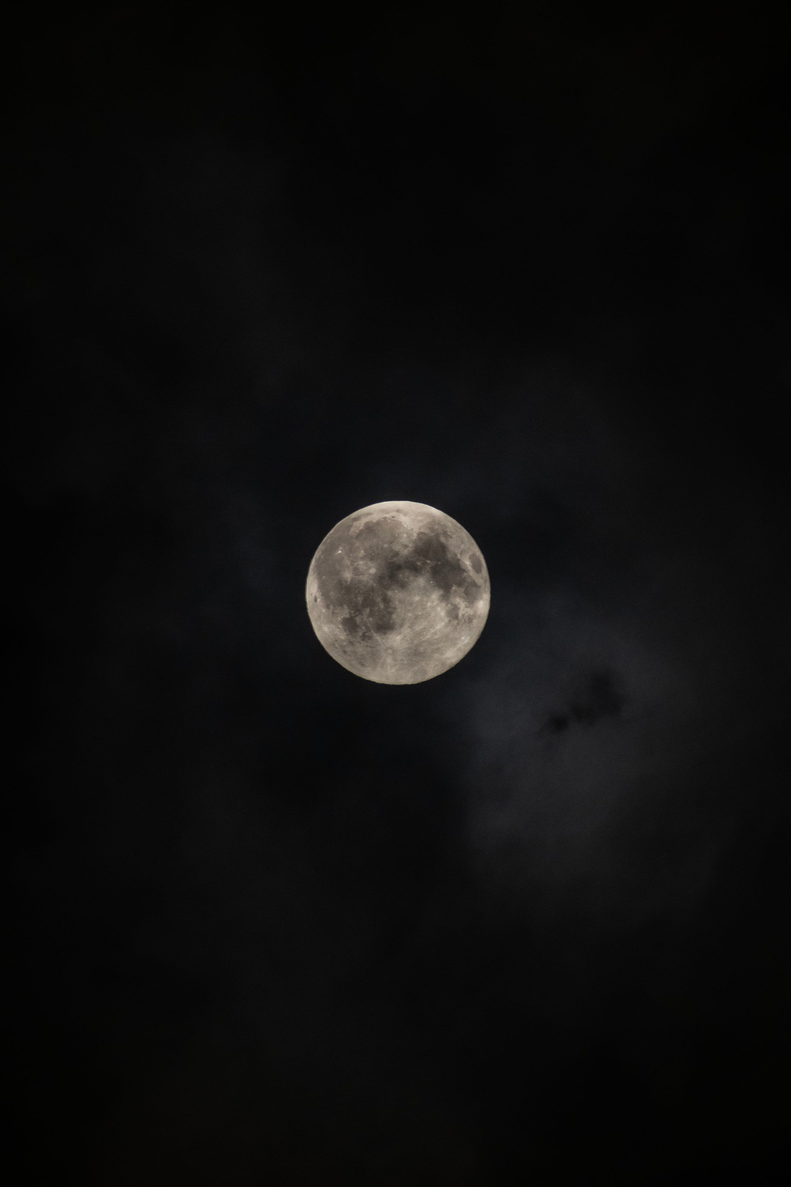 Full Moon on Clear Sky · Free Stock Photo